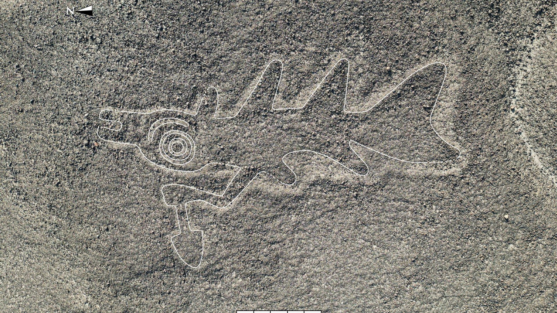 Vesna pocuca sana pics the provider represents absolute joy