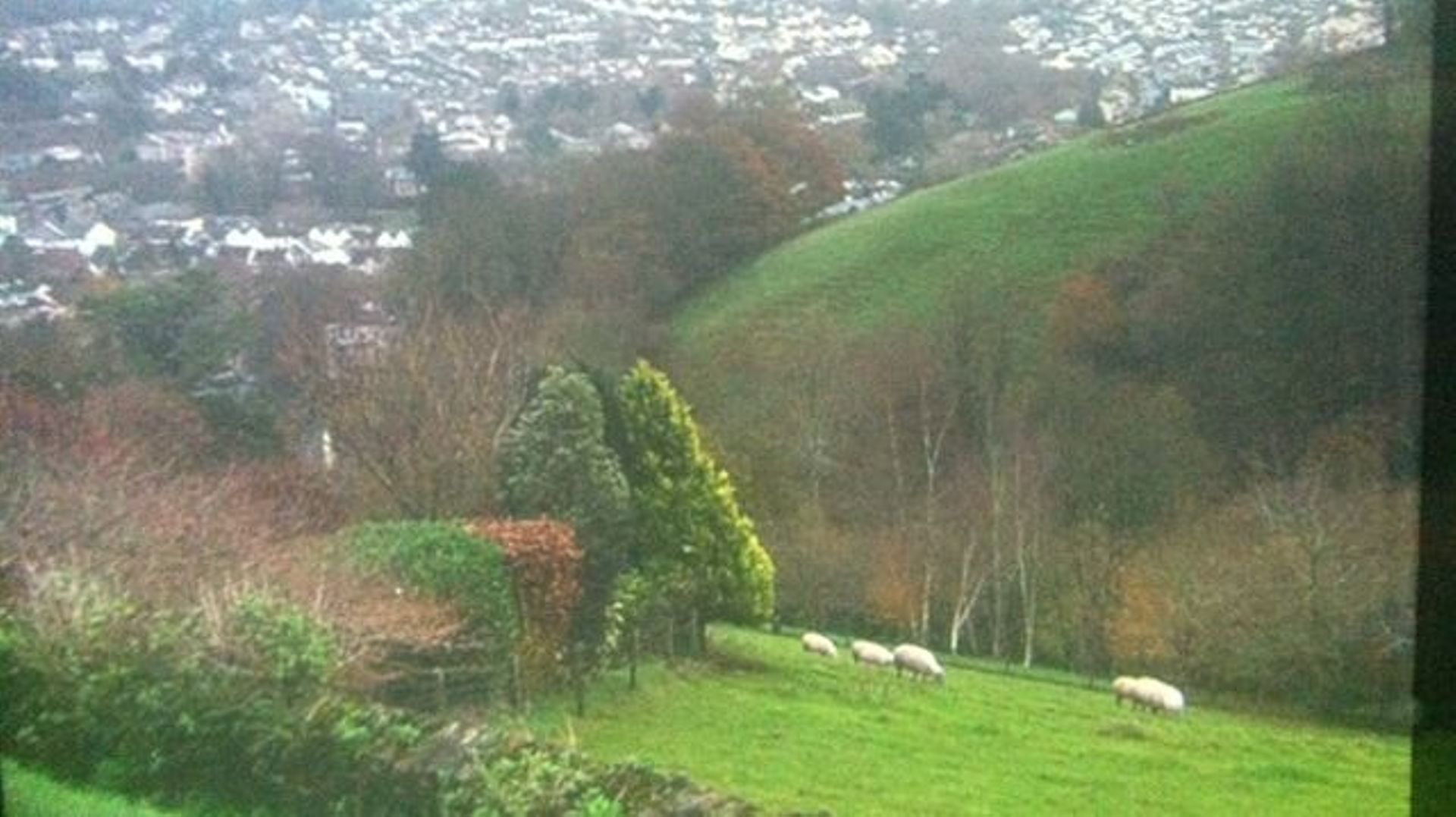 Frameries: Ensemble, le nouveau film durable au Pass - RTBF Actus