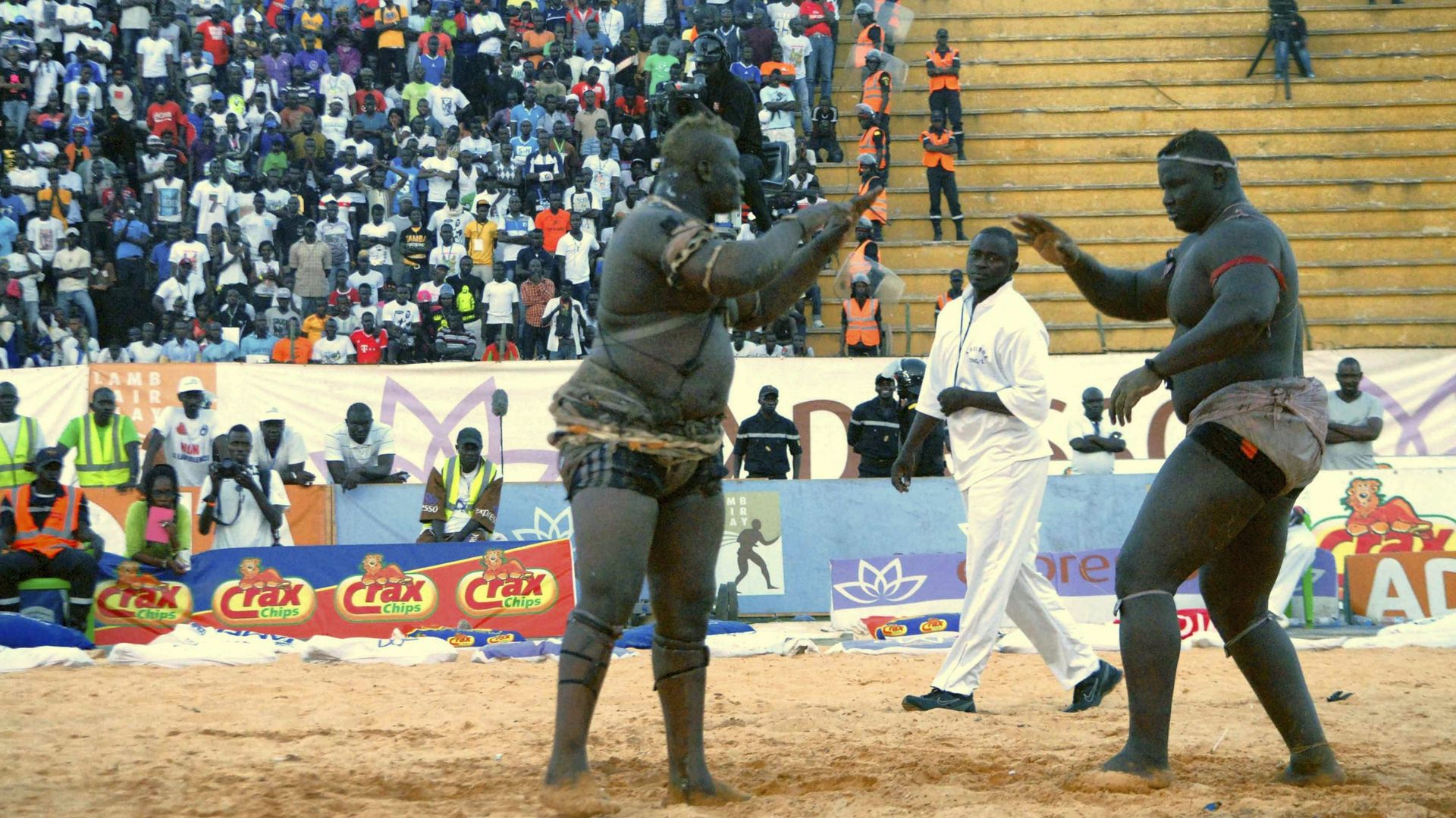 Les lutteurs sénégalais reprennent les combats après un an d’arrêt