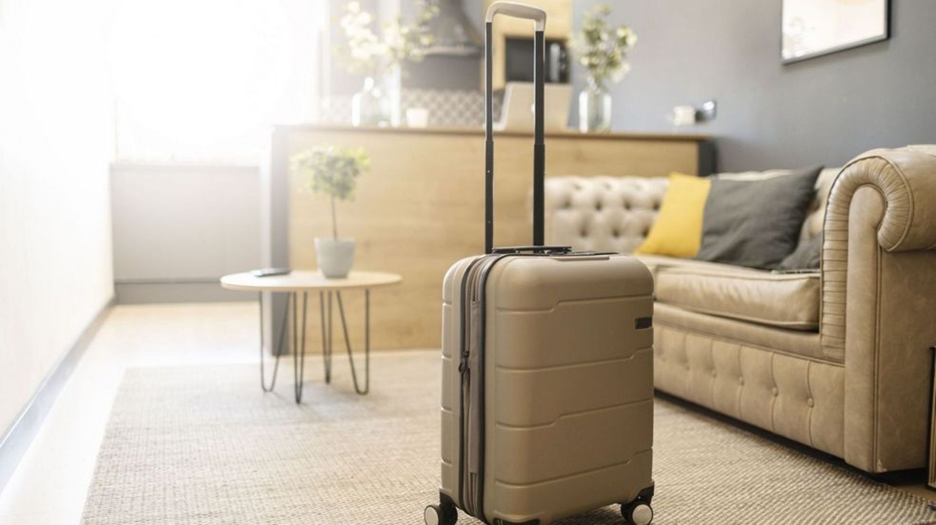 1 cat 1 blender video she endeavors to make you happy and