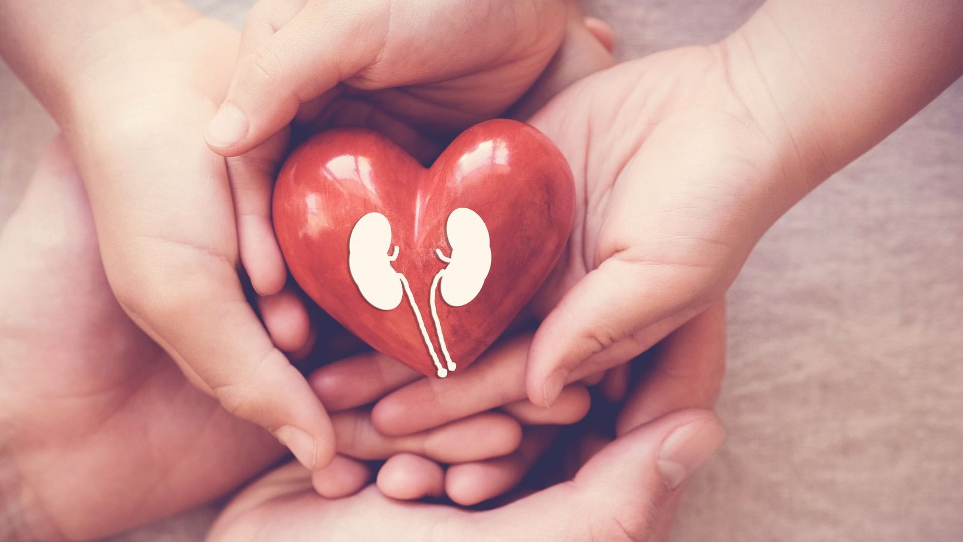 Opération du rein à ventre fermé à Toulouse: une première en Europe ...