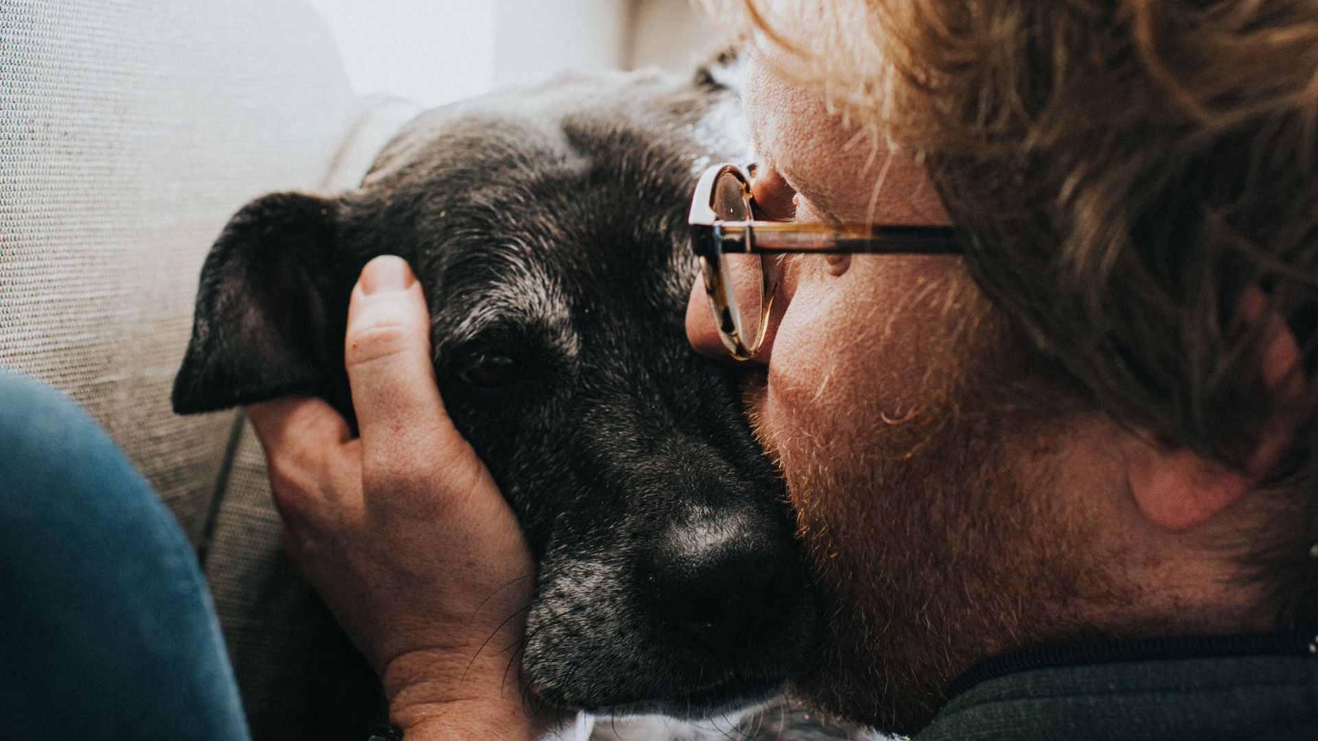 Se faire inhumer avec son animal de compagnie : bientôt permis en ...