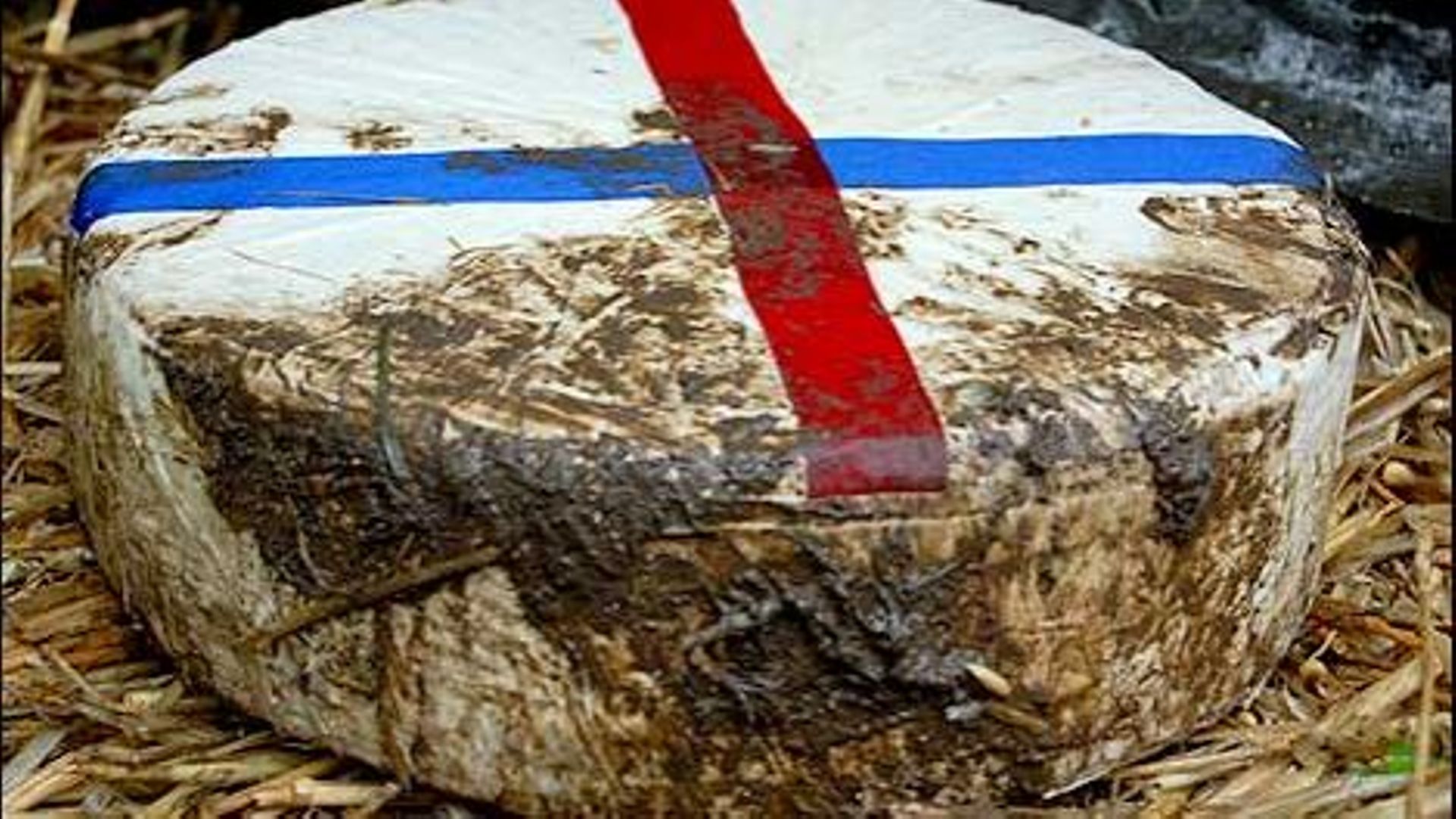 Sécurité: les dangers de la course au fromage - RTBF Actus