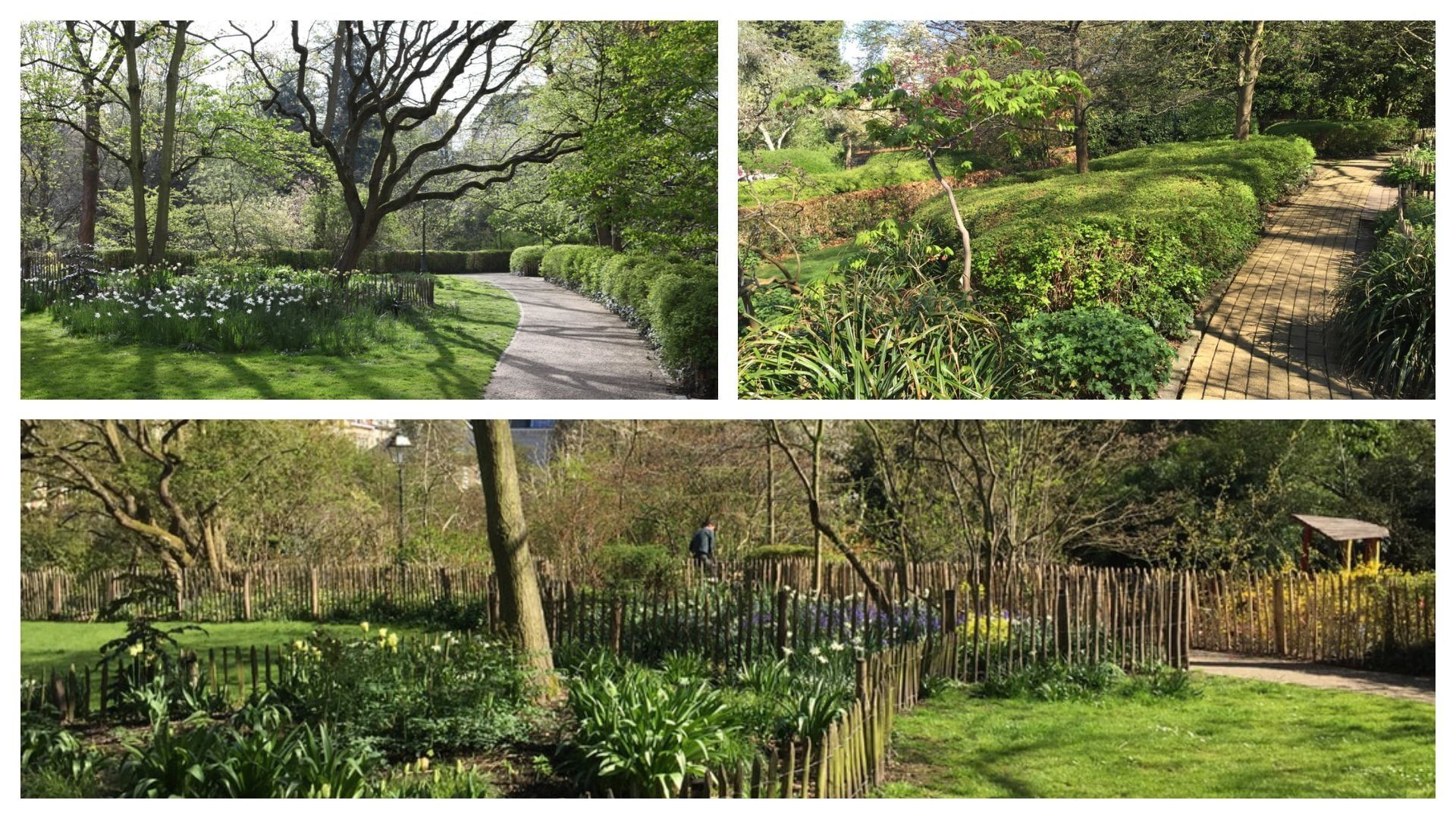 Le parc Tenbosch à Ixelles rejoint la liste des sites classés de la ...