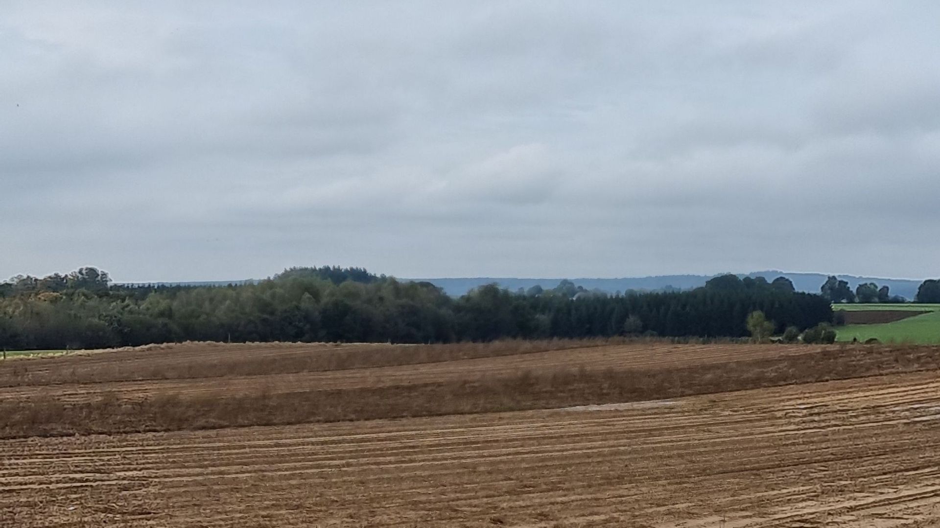 La Plate de Florenville à l’honneur à la Fête de la Pomme-de-terre ce ...
