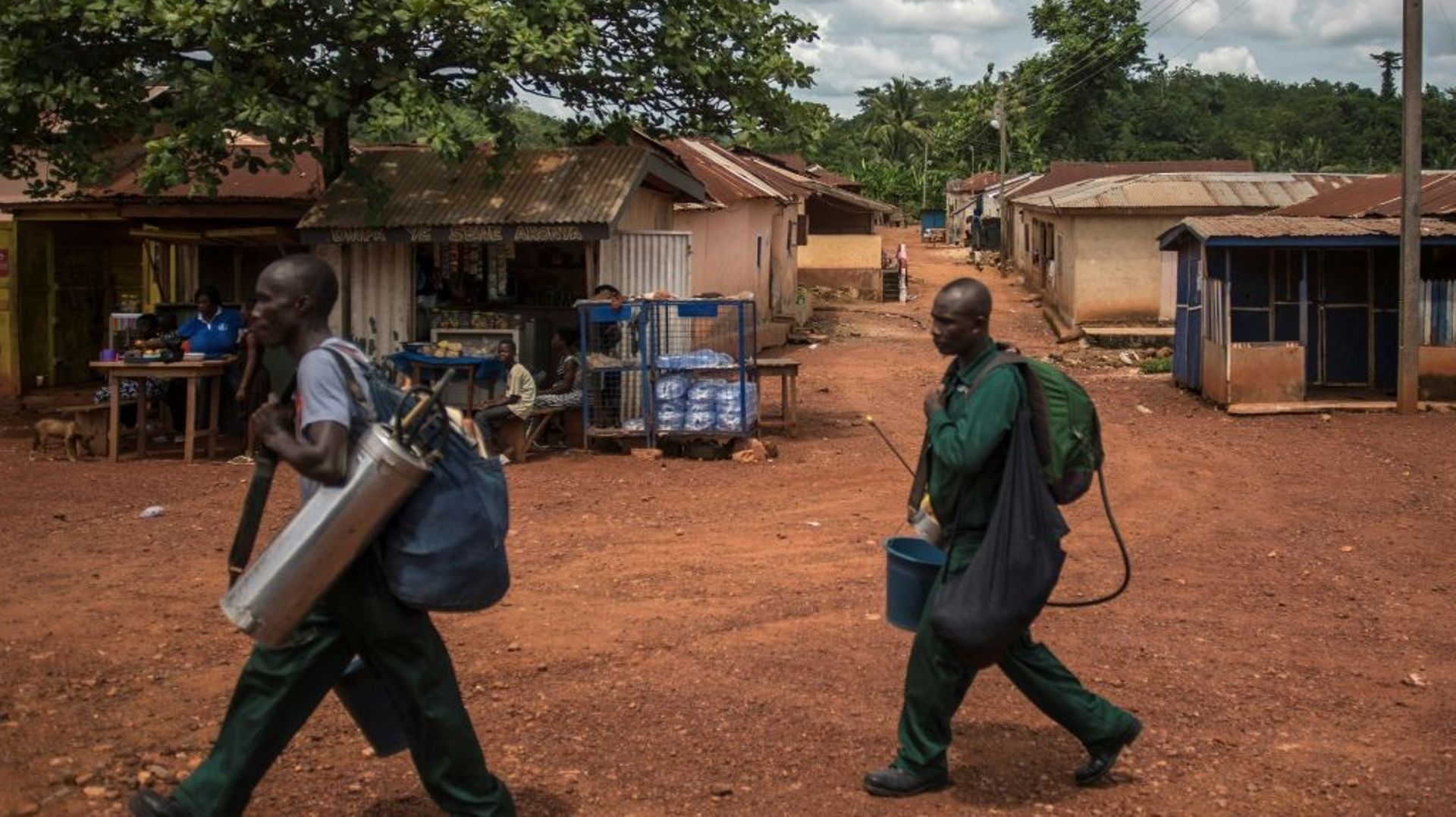 Au Ghana, les moustiques résistent aux insecticides, et compliquent la ...