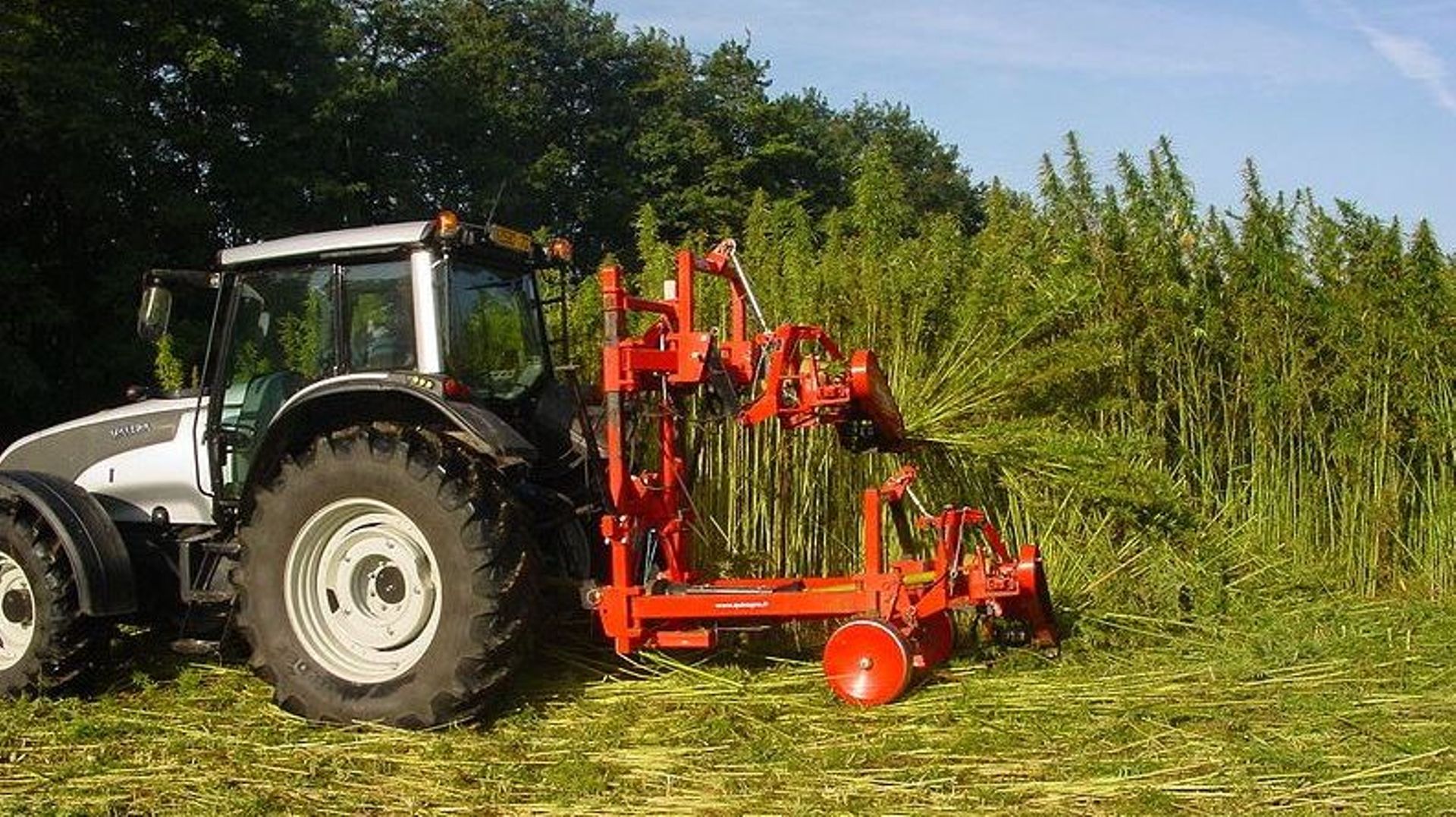 Bientôt une usine de transformation de chanvre à Marche-en-Famenne ...