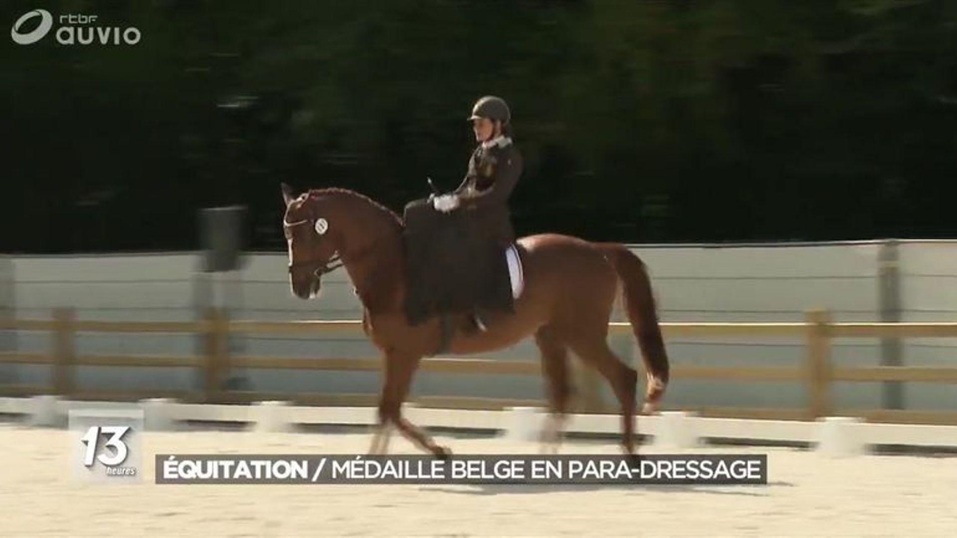 Equitation: du cancer à la médaille de bronze, portrait de la ...