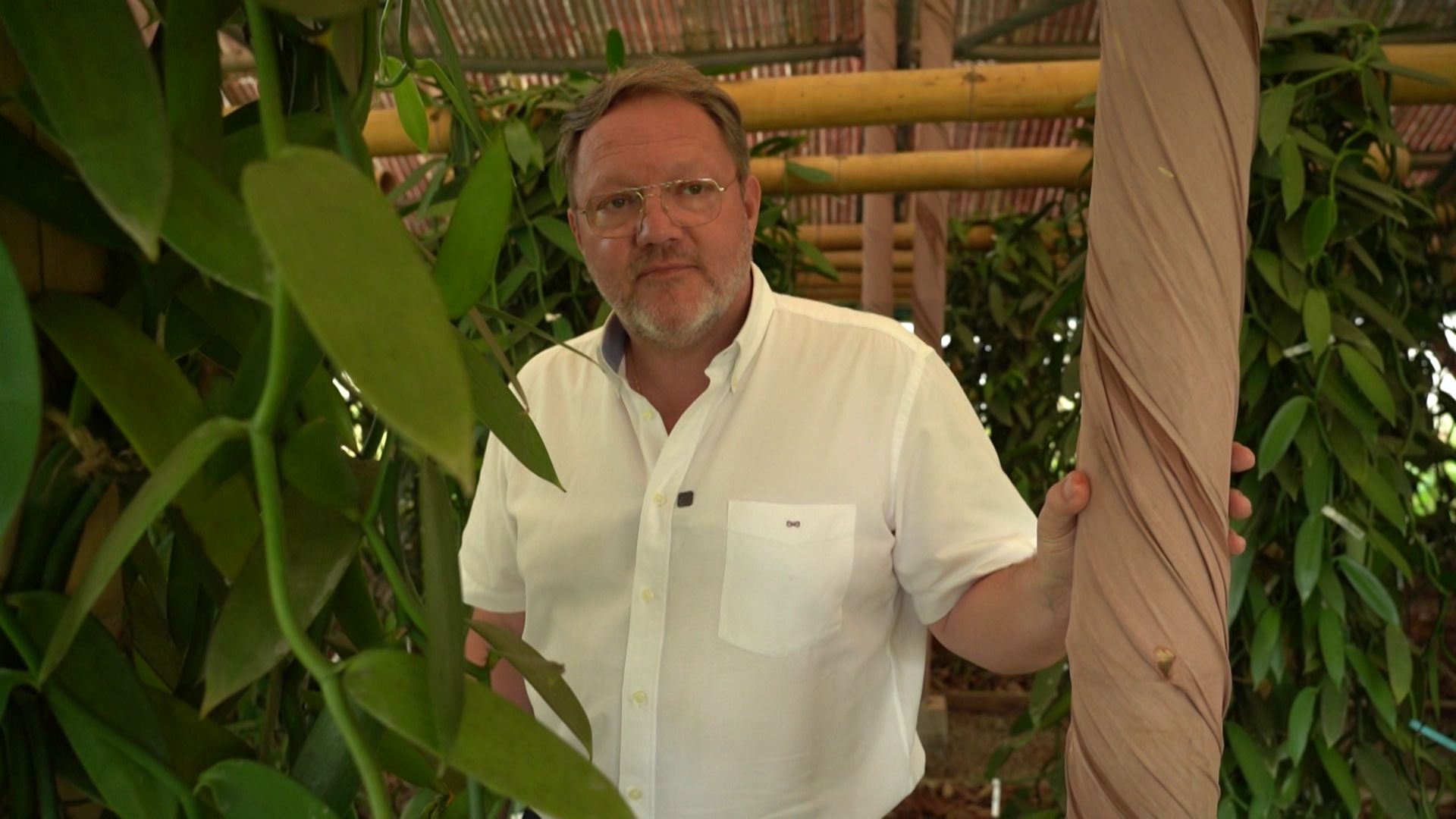 #Investigation : Vanille de Madagascar, de la gourmandise à la survie ...