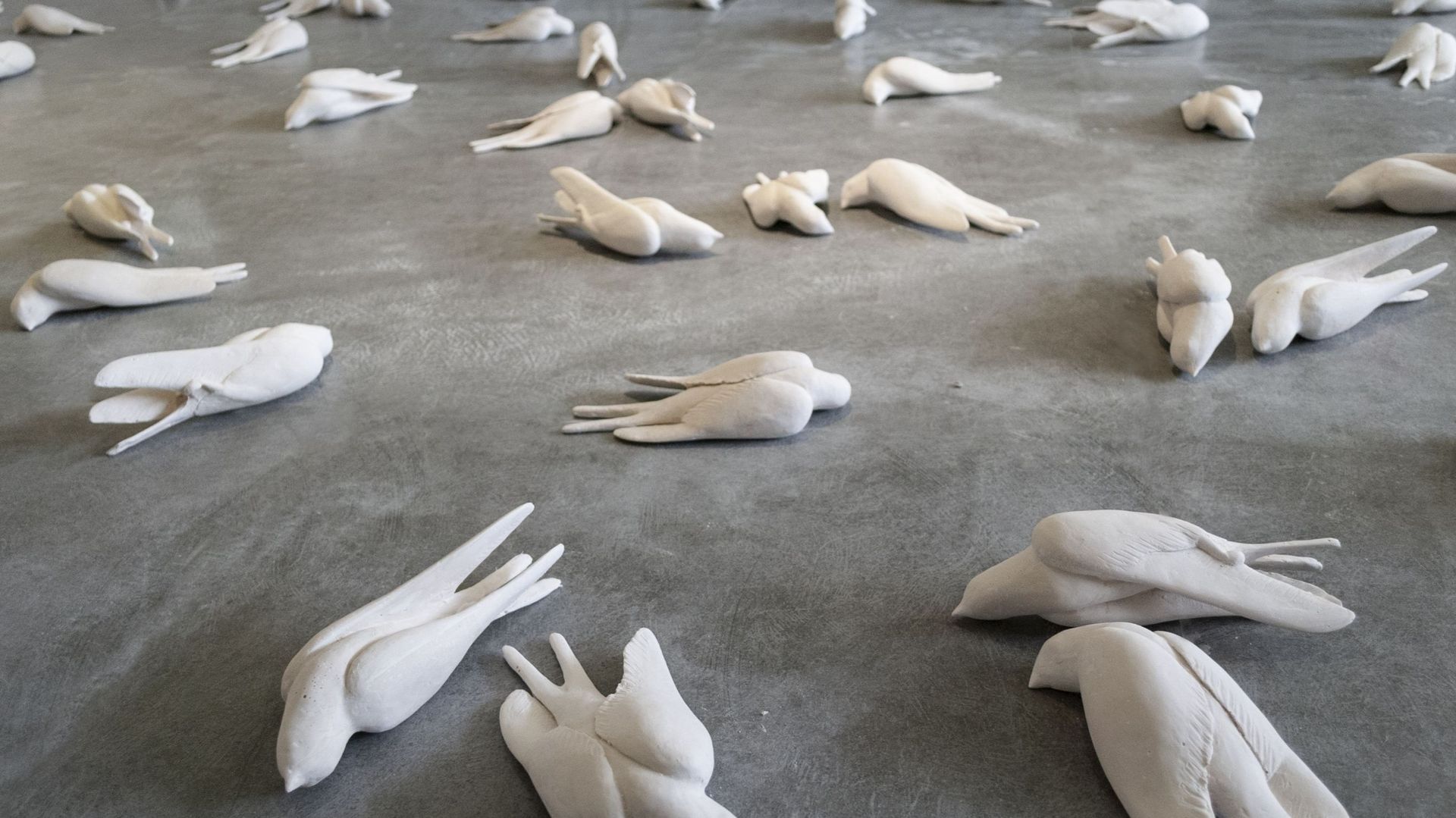 Amour et drame en migratoire en Méditerranée : une nouvelle exposition ...