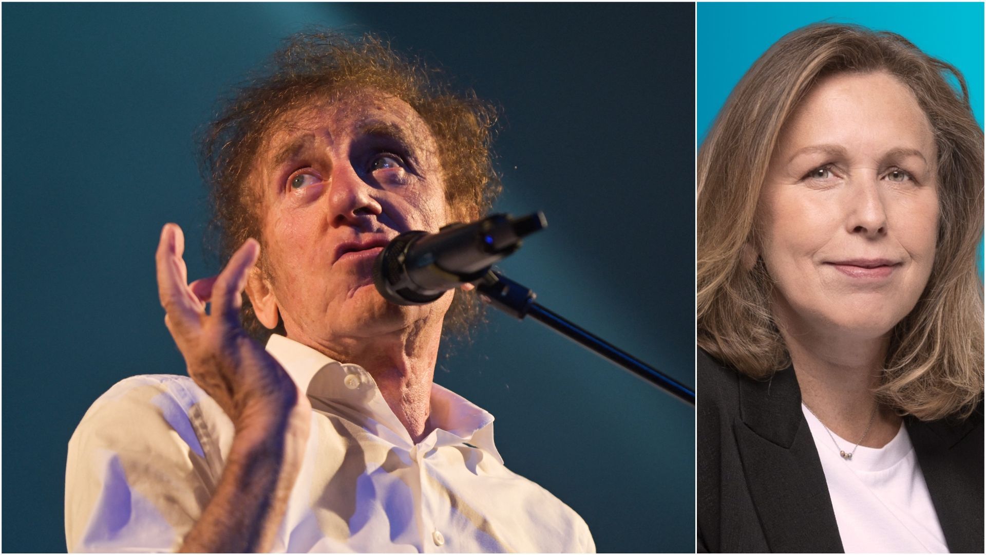 Allô maman bobo : Alain Souchon face à la banalisation du Rassemblement ...