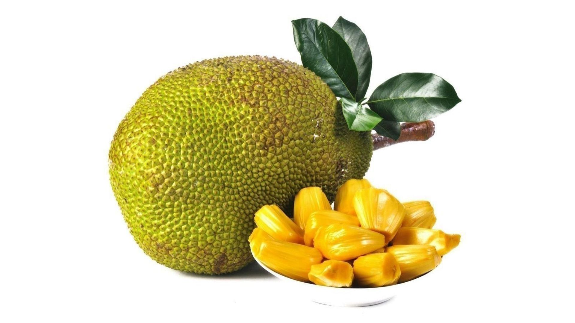 Le fruit du jacquier, une 'viande sans viande' - RTBF Actus