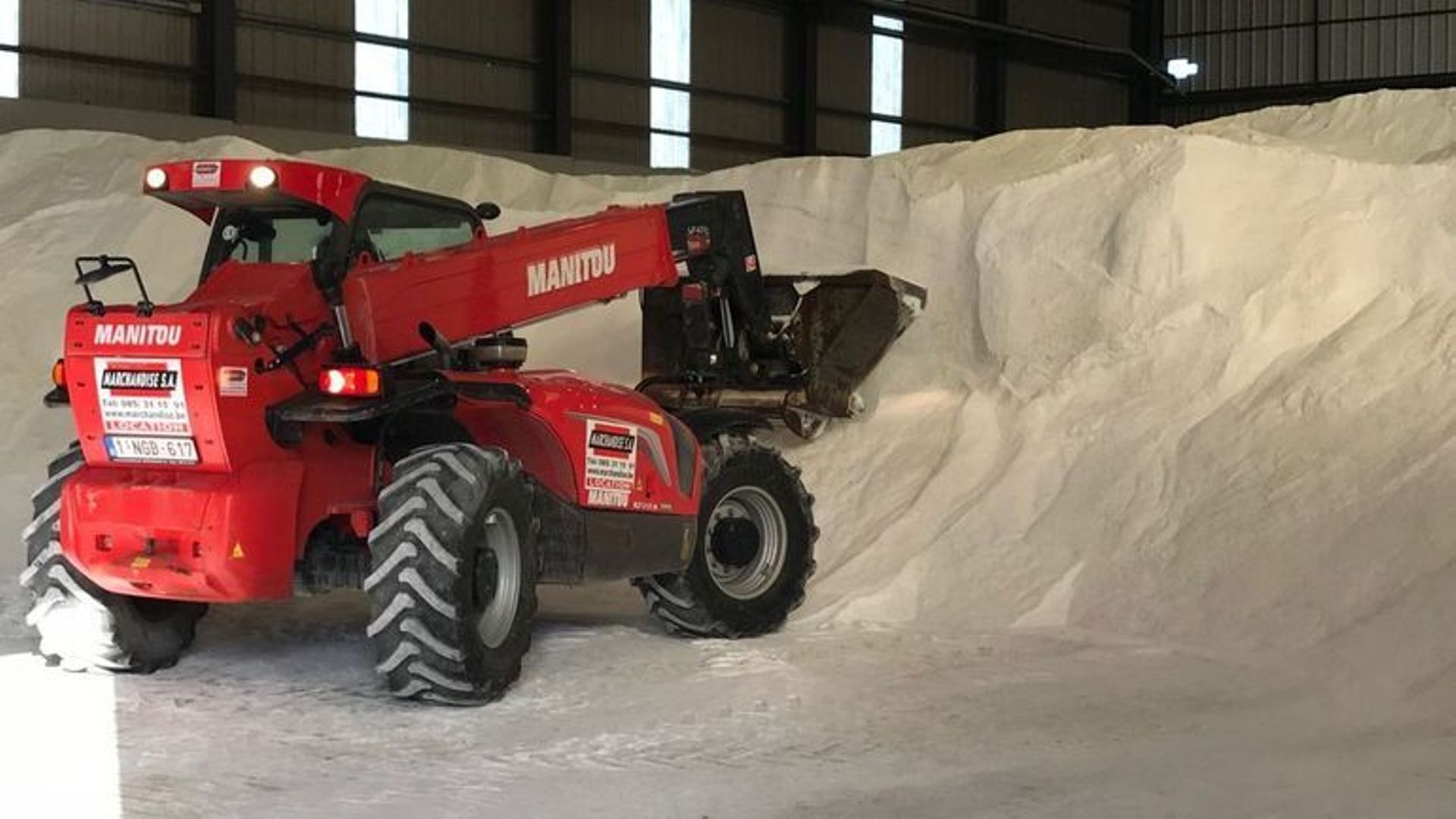 Le sel de déneigement peut tuer les arbres le long des routes. Mais ...