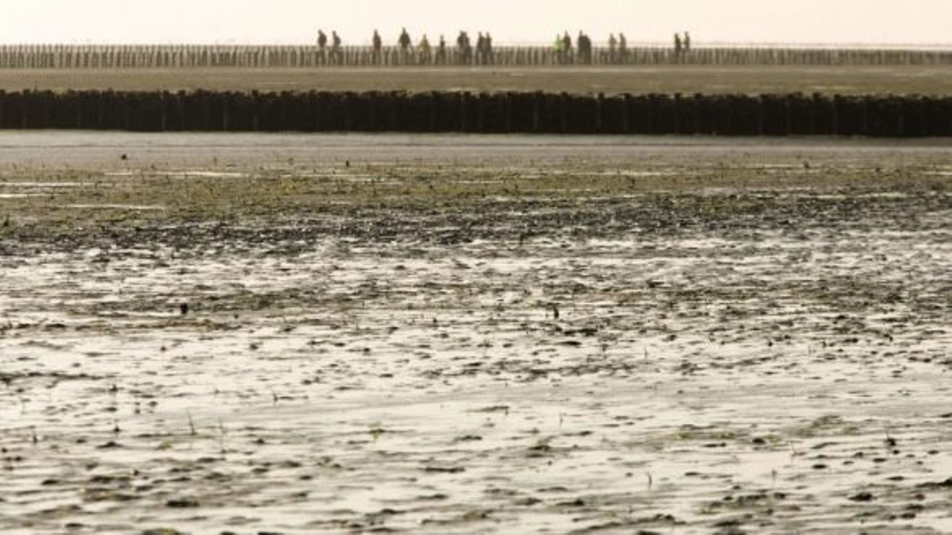 La mer des Wadden et les Dolomites reconnus par l'Unesco - RTBF Actus