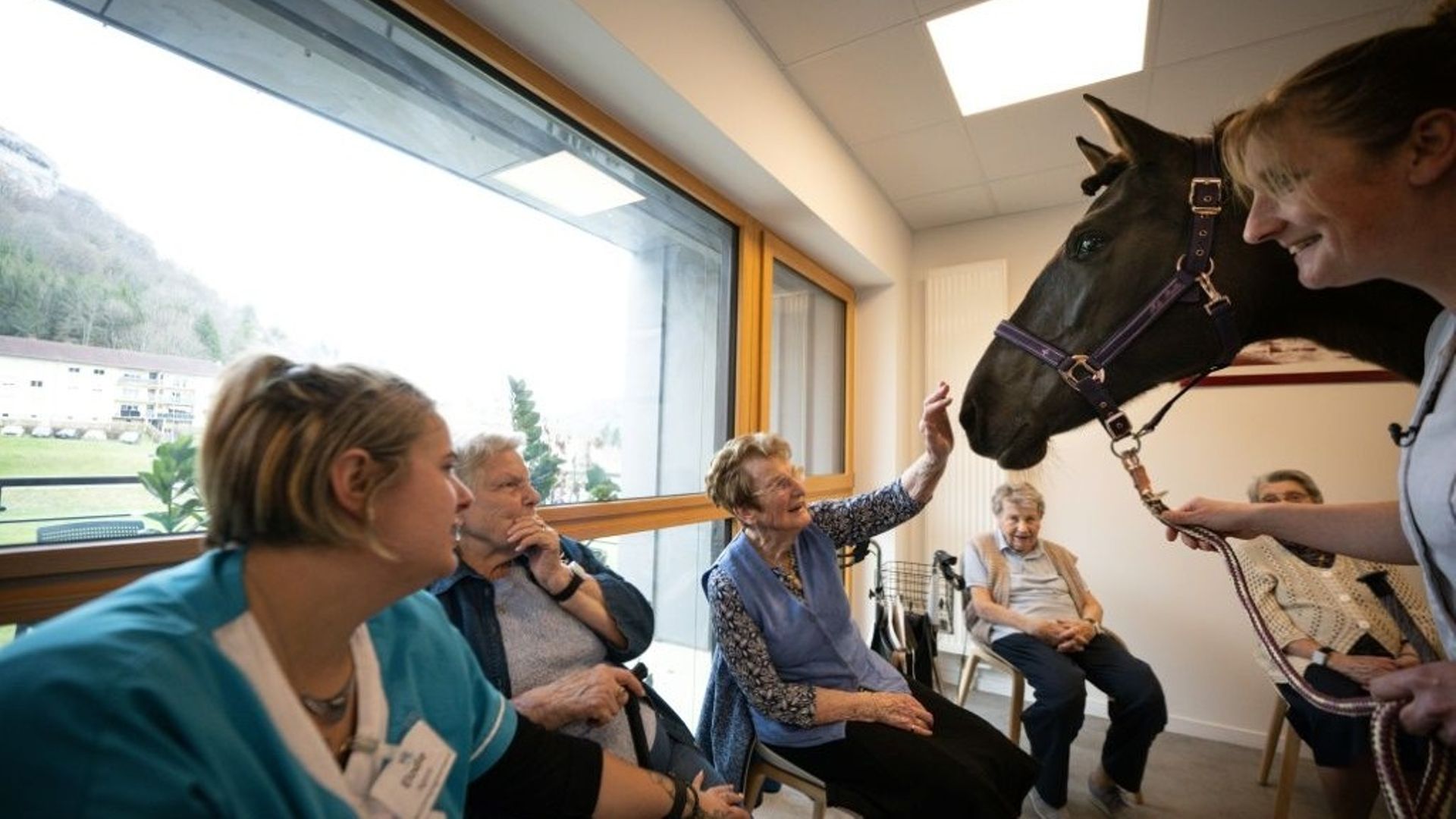 Dounka, la jument qui murmure à l'oreille des seniors - RTBF Actus
