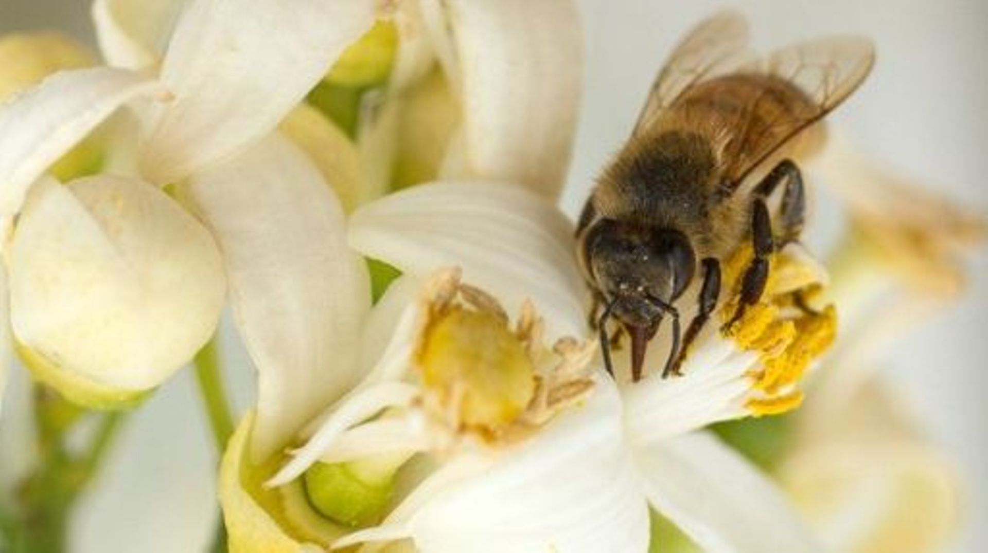 Tom DeLonge, le chanteur de Blink-182, a écrit un nouveau roman de ...