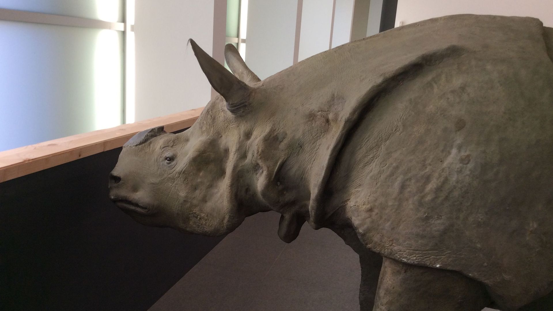 Johan Muyle, 40 ans de questionnement sur le pouvoir des images et de ...