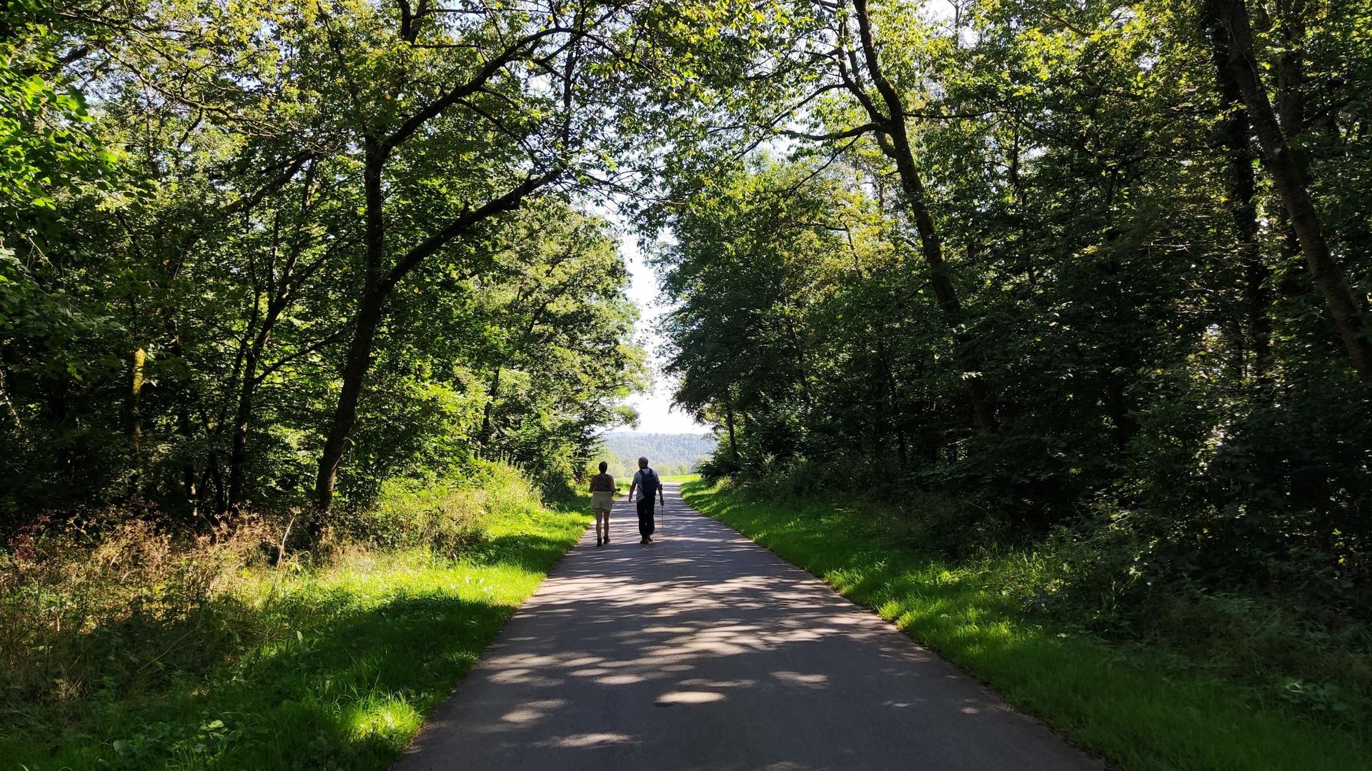 Houyet insolite : une tombe dédiée à un loup ! - RTBF Actus
