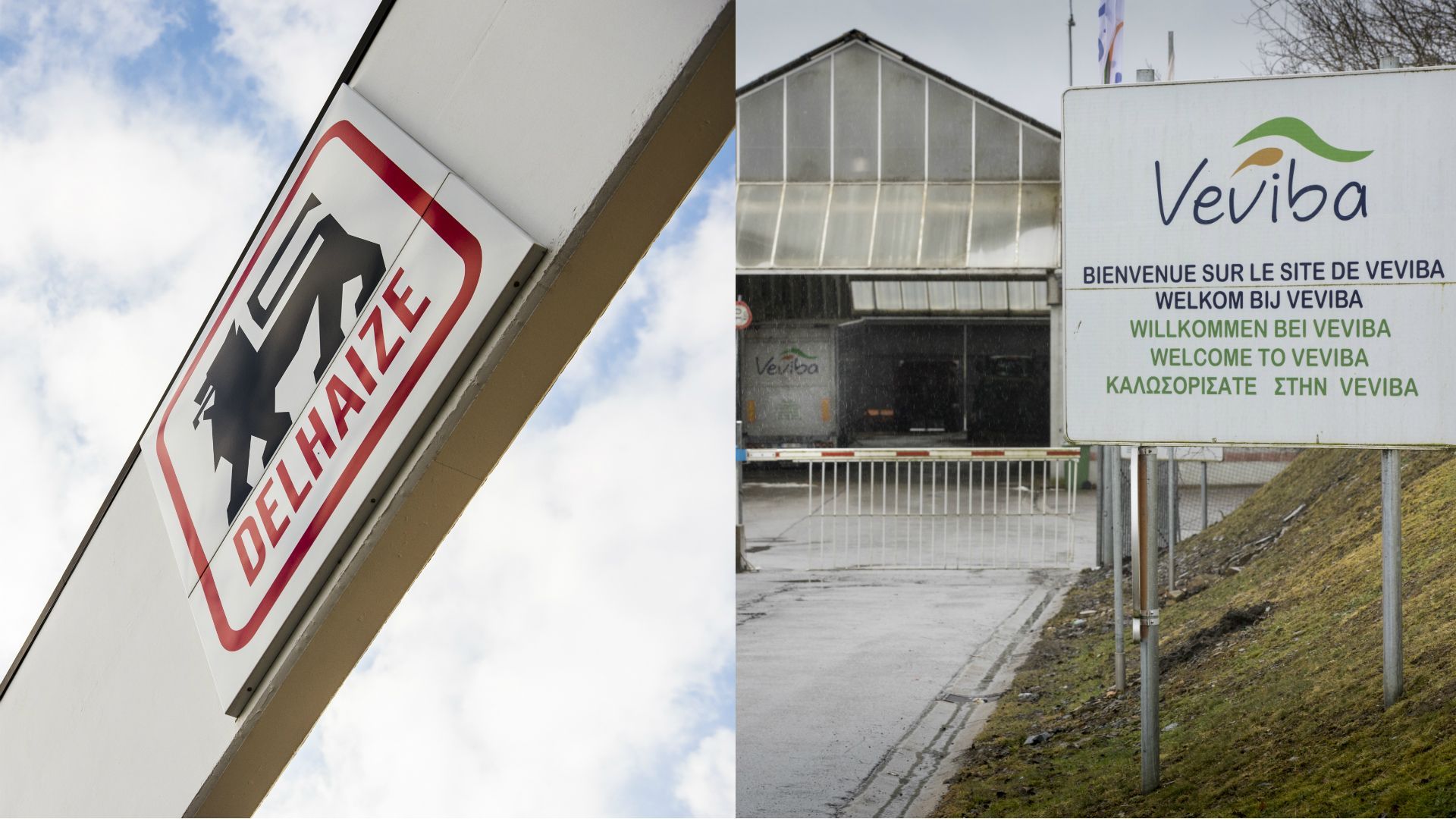 Delhaize et Veviba ont entamé un bras de fer judiciaire - RTBF Actus