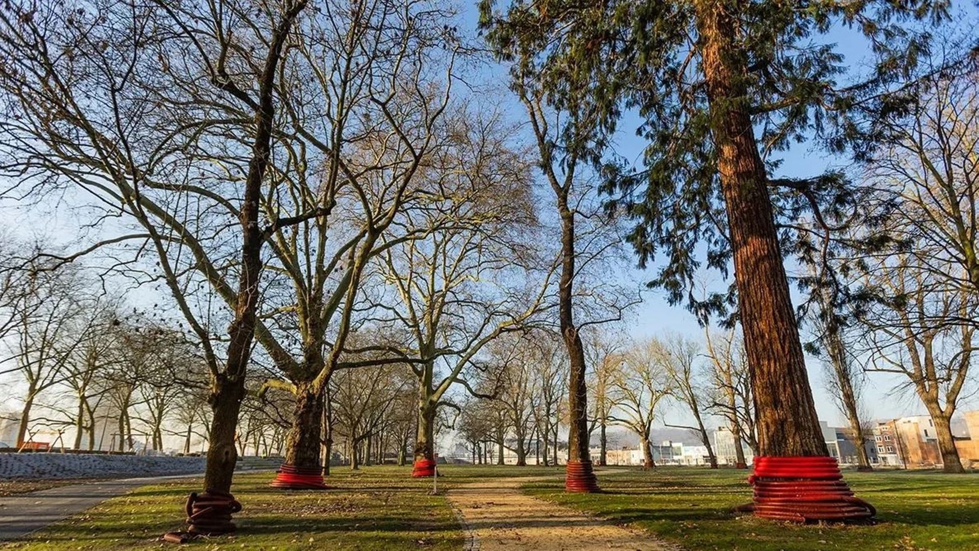 A Liège, le parc Astrid rouvre au public - RTBF Actus