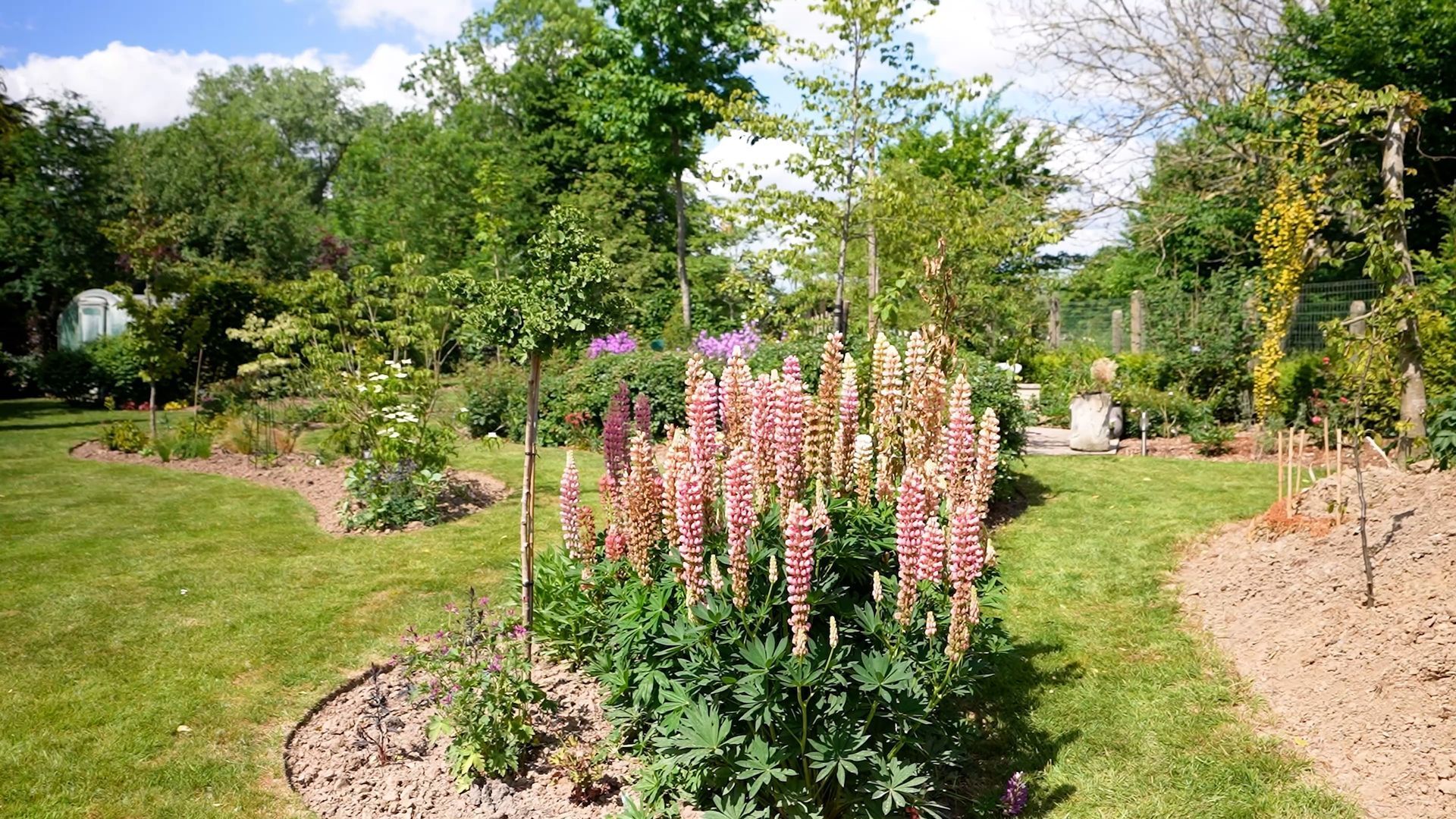 Un jardin structuré mais qui laisse aussi faire la nature près de Mons ...