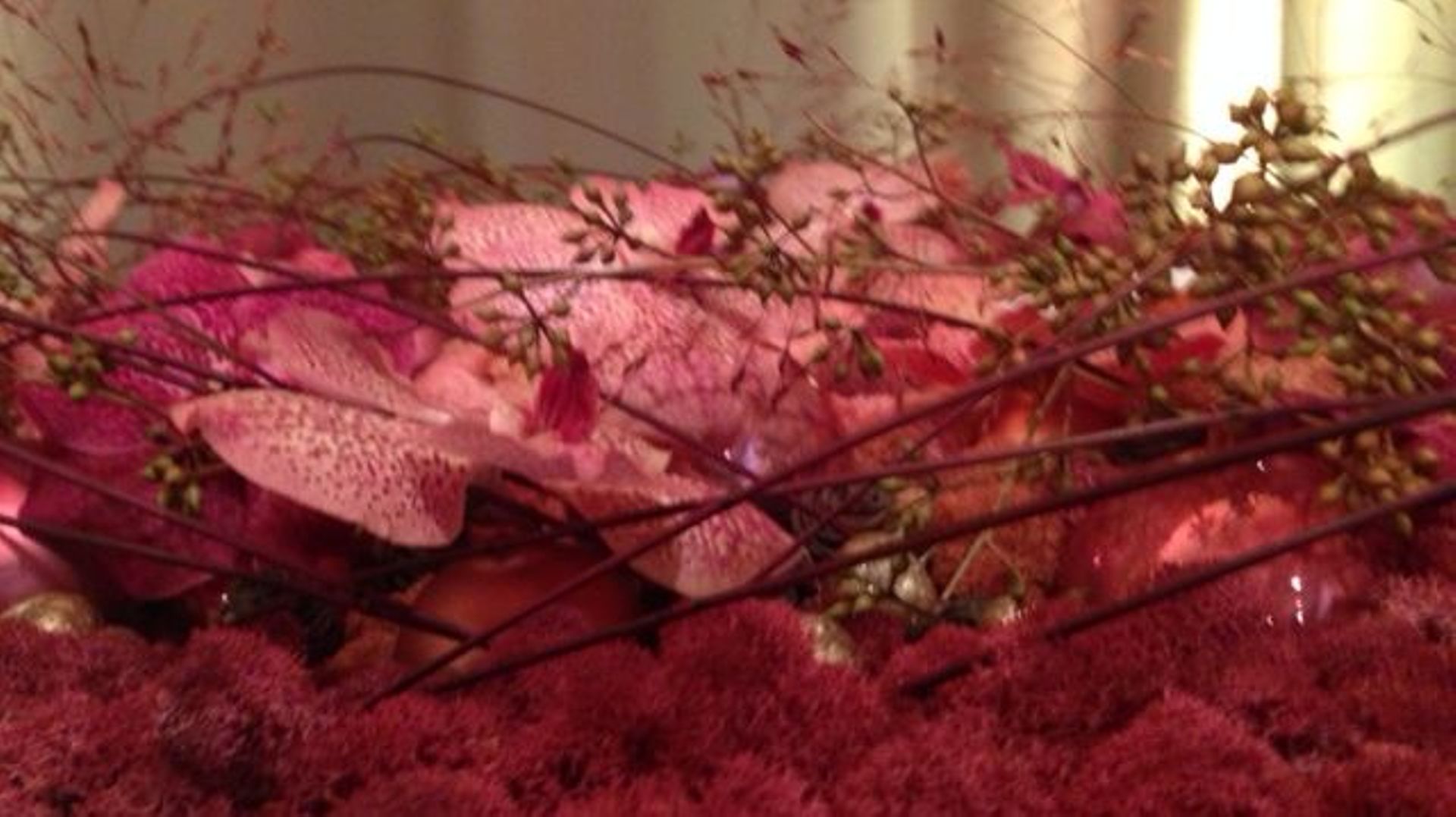 Château de Limelette: l'art floral à l'honneur - RTBF Actus