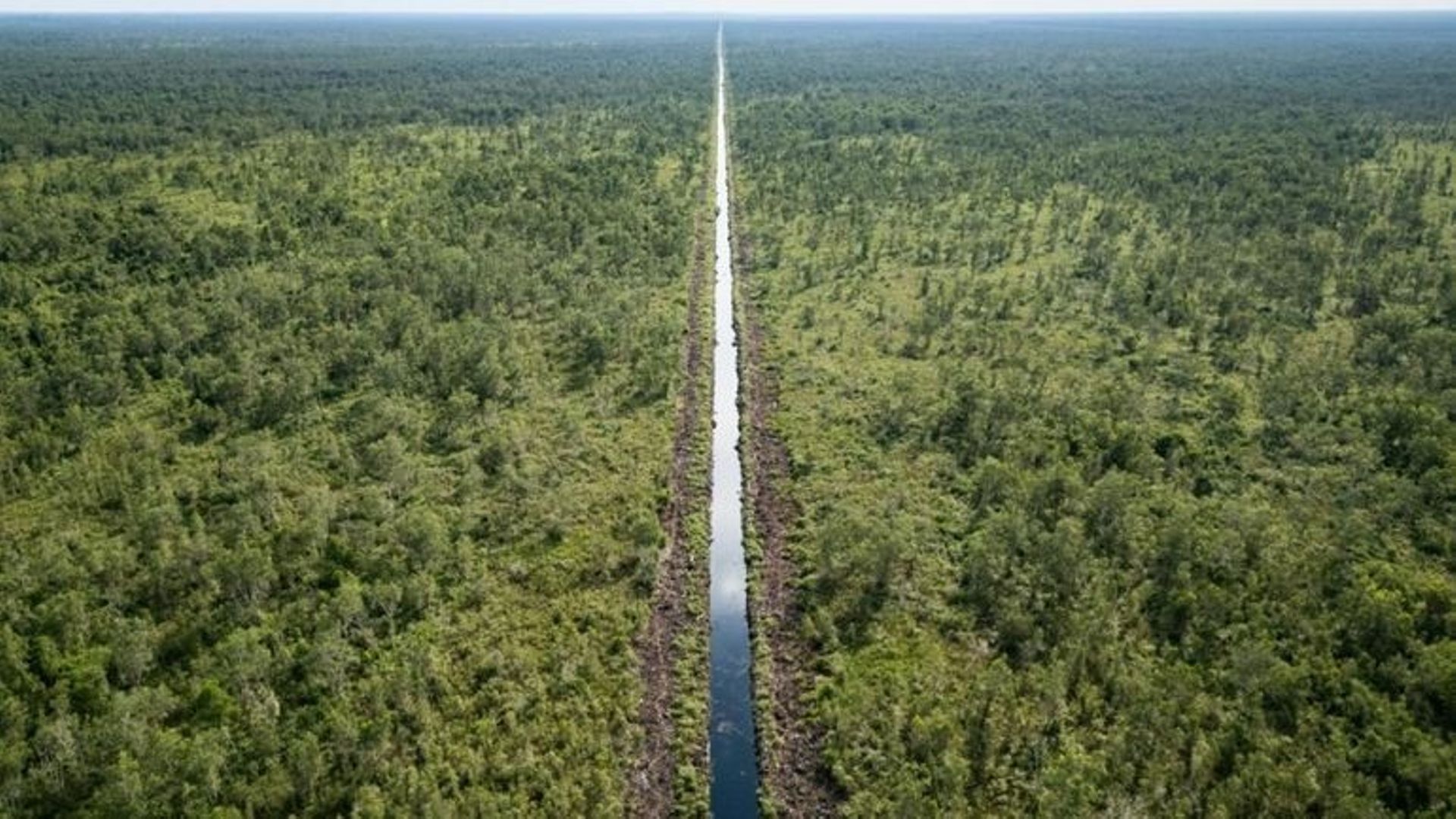 Aznude cute she turned out to be older than I was