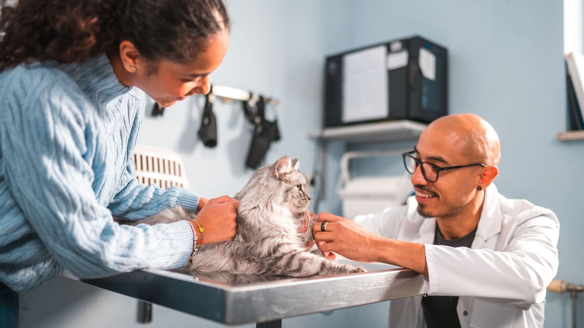 Le moloch hérissé, ce lézard qui boit de l'eau par les pieds - RTBF Actus