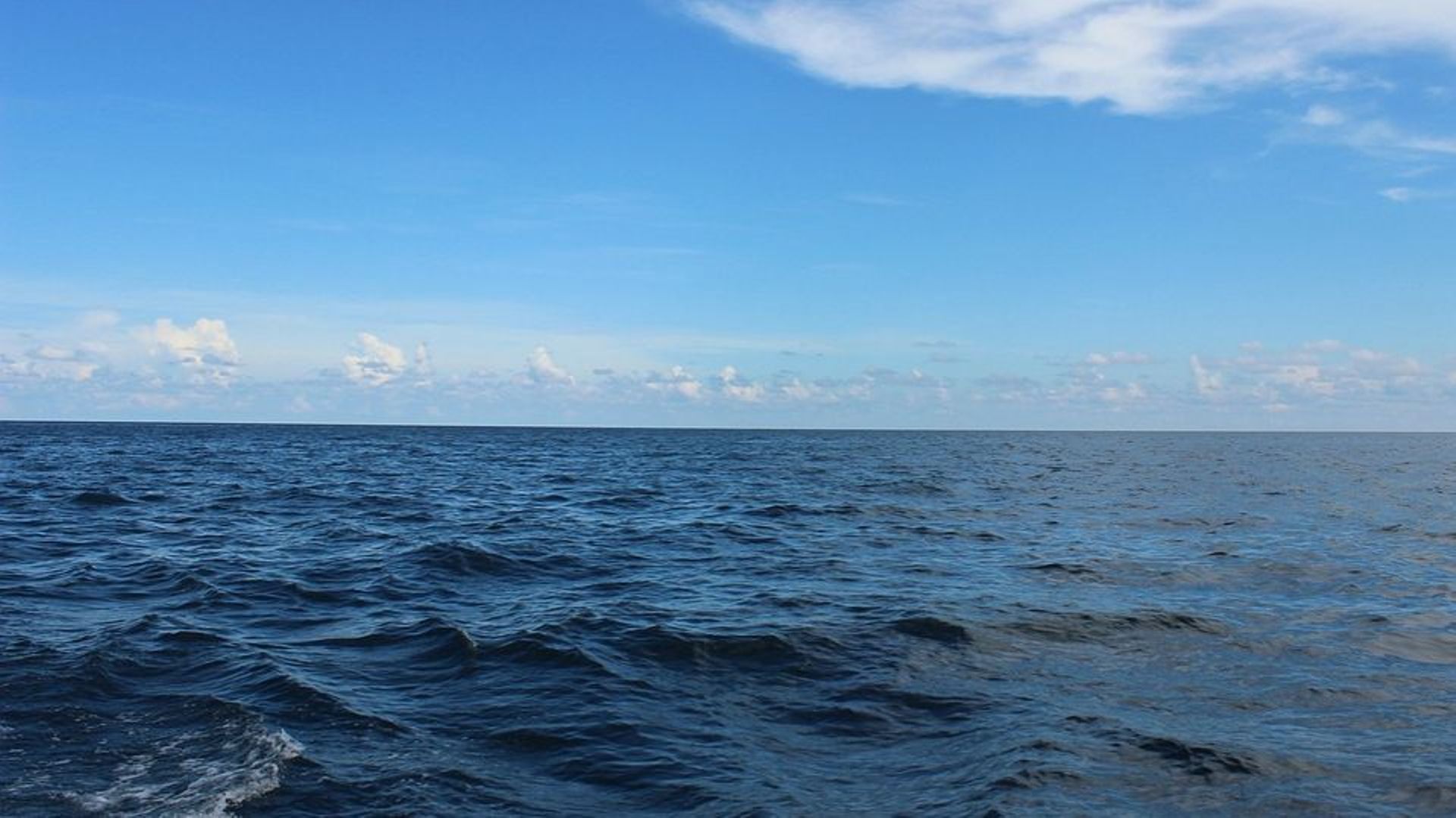 Océan bleu, océan rouge, BW Bizz s'intéresse aux stratégies des ...