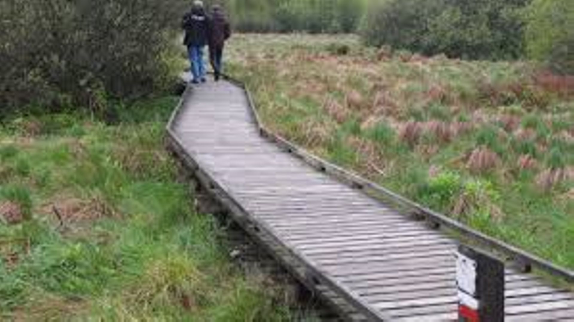 Du sport dans les Fagnes pour la Toussaint - RTBF Actus