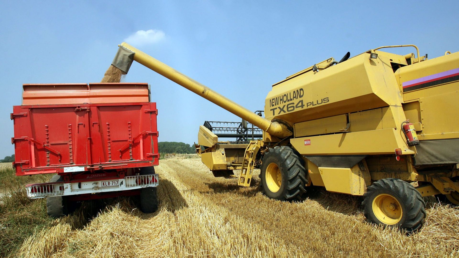 La récolte de froment a enfin débuté