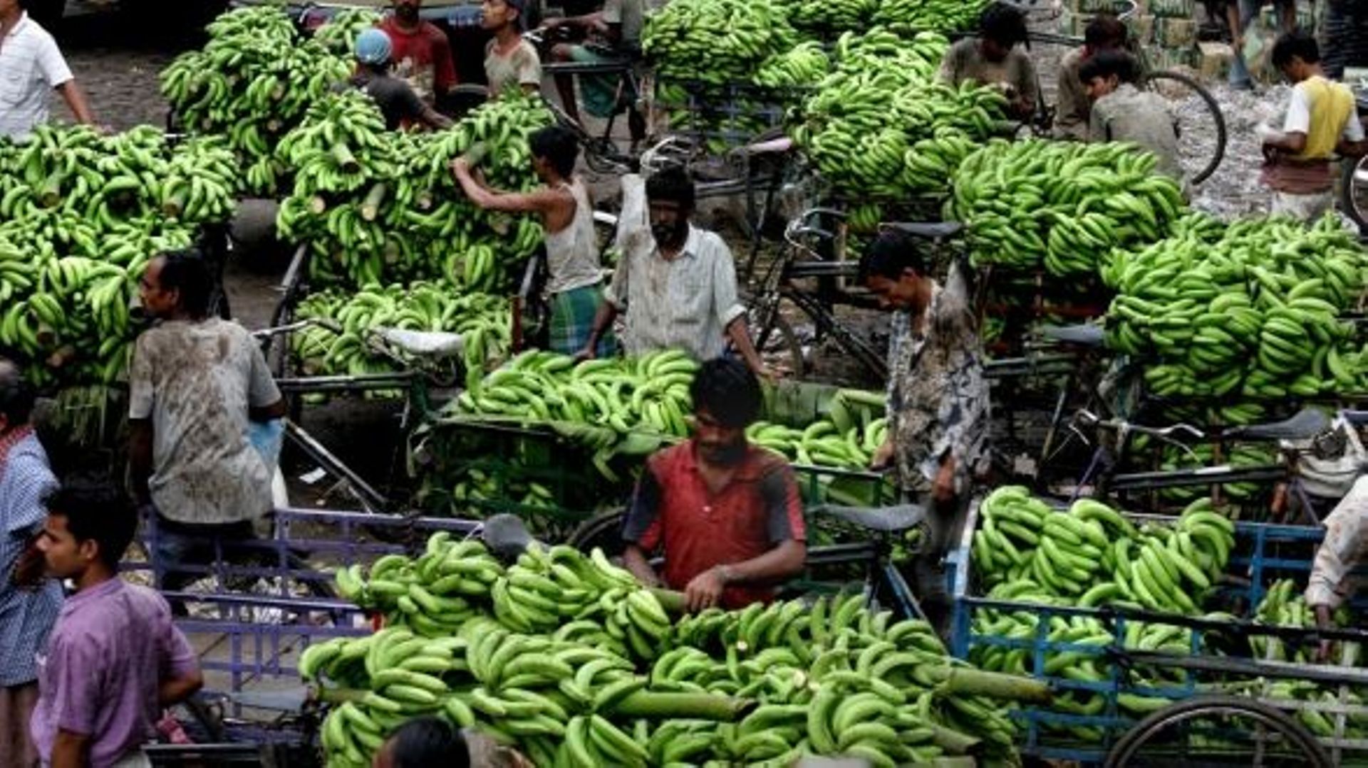 La banane, un fruit qui ne connaît pas la crise