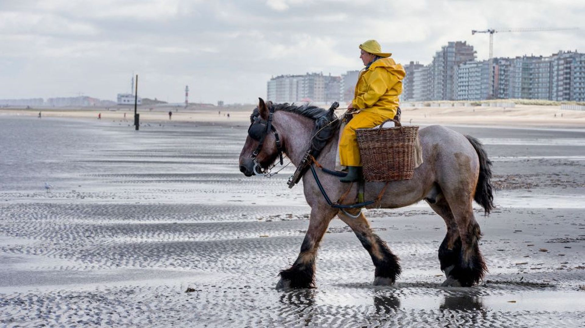 On a testé pour vous la parfumerie 'Guy Delforge' à Namur - RTBF Actus
