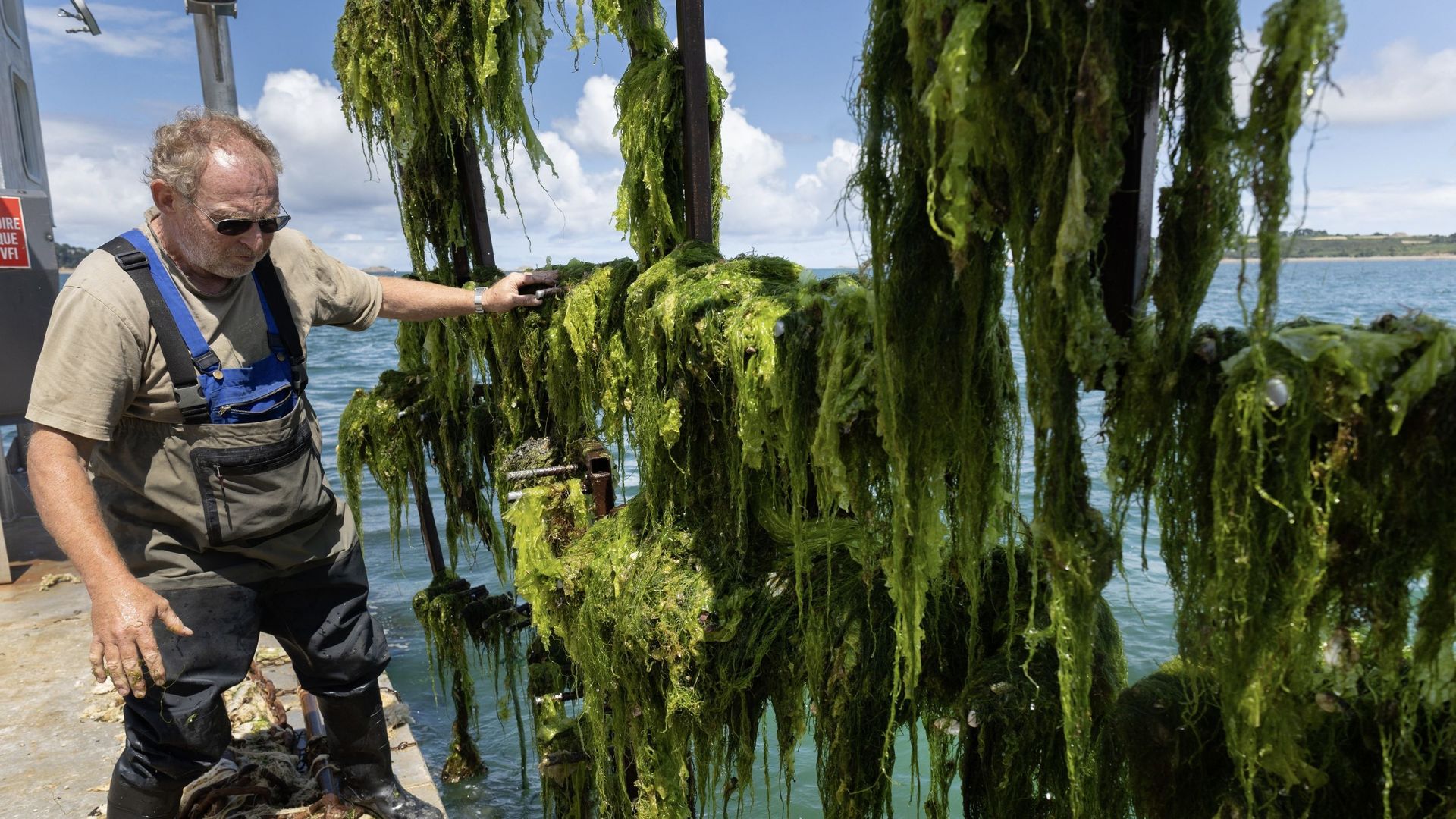 Janewest leaks it looks like Tami came present plus took