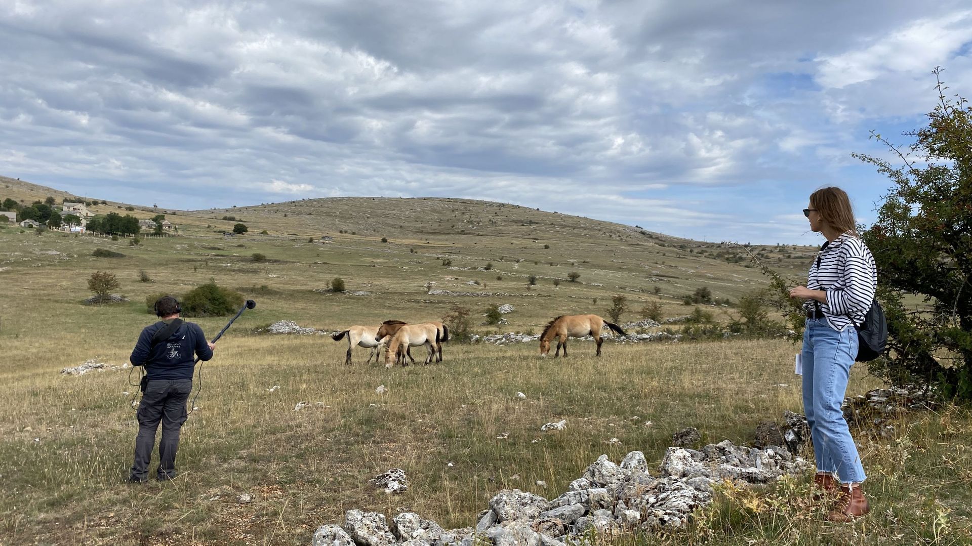 Lozère : 5 animaux insolites à observer dans le Parc National des ...