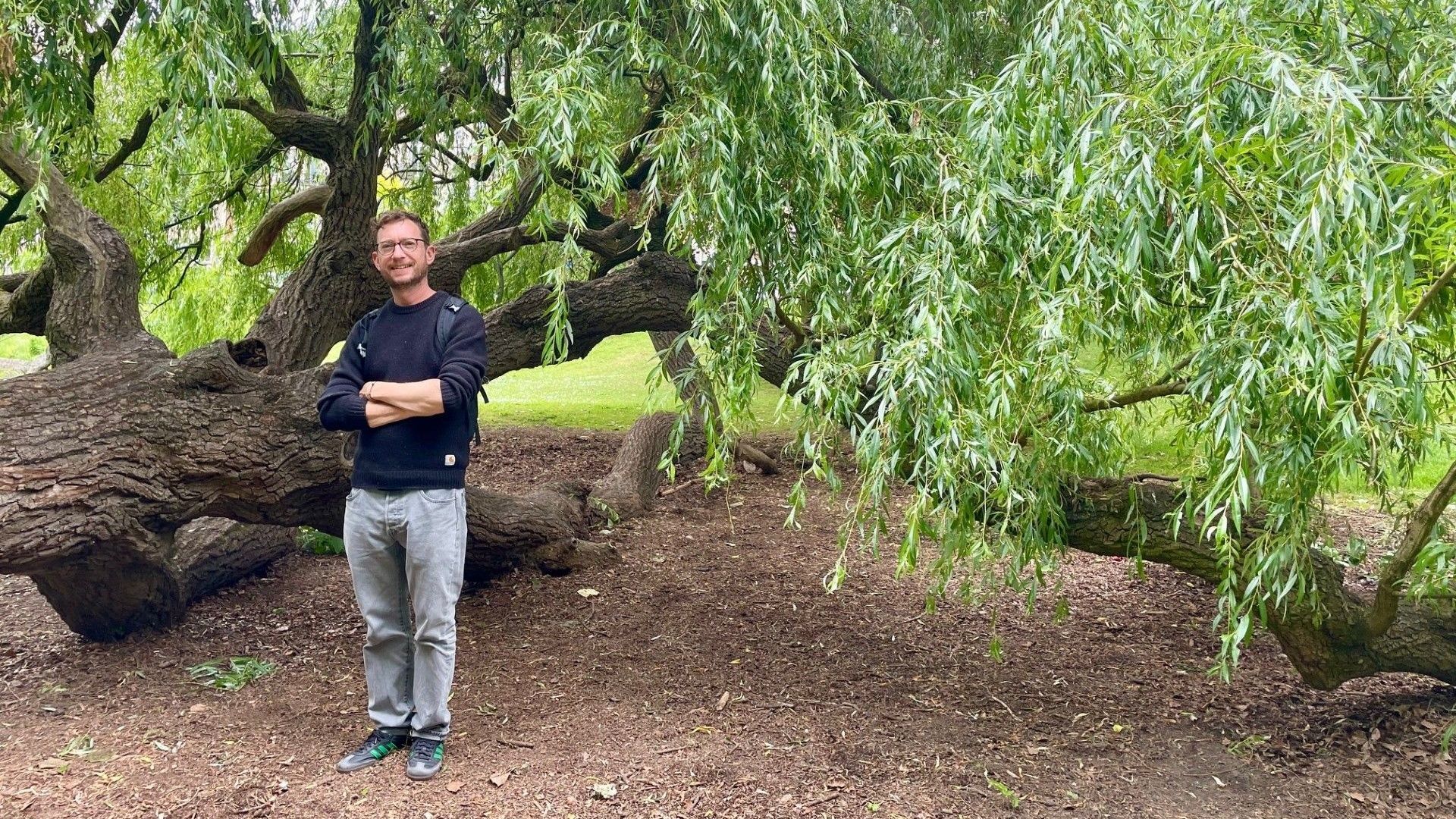 Du saule miraculé au tilleul séculaire : Ixelles cartographie ses ...