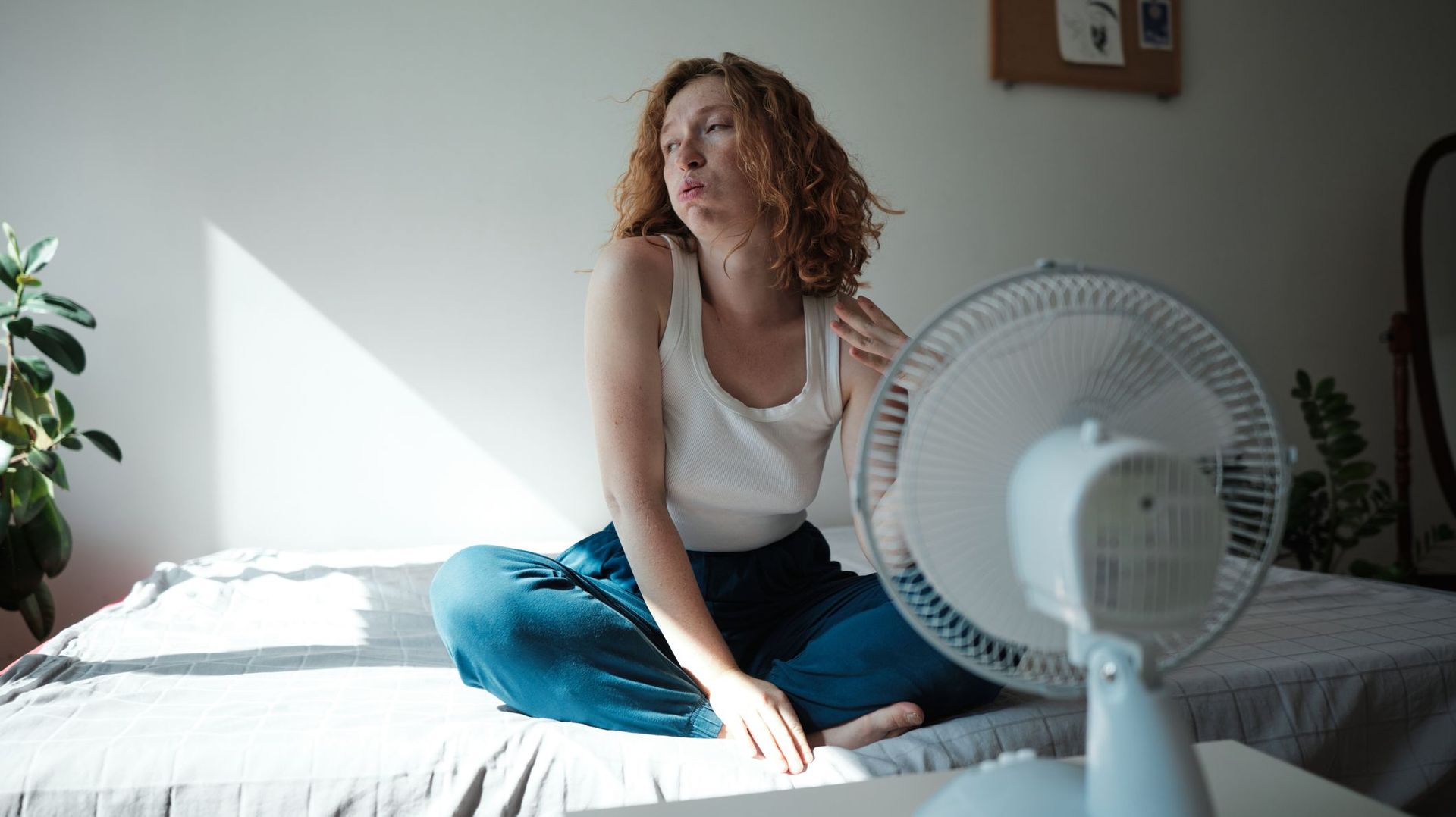 Trois conseils donnés par la science pour ne pas souffrir de la chaleur ...