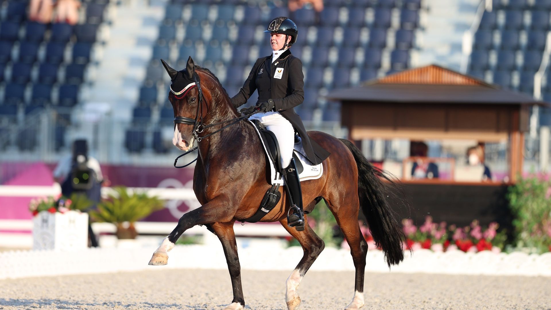 JO Tokyo 2020, dressage : pas de finale par équipes ni individuelle ...