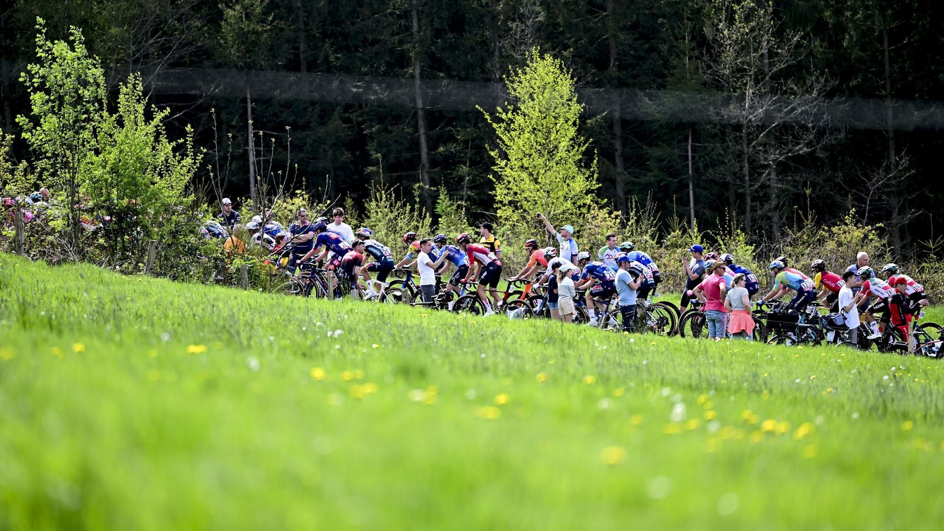 Uhoda : un nom devenu une marque, la success-story d'un entrepreneur et collectionneur d'art ...