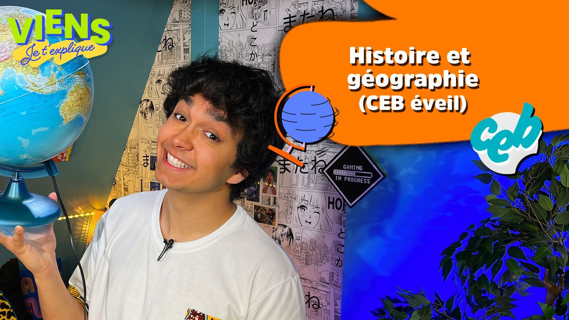 CEB : comme pour l'épreuve de français, apprends à décrire des images ...