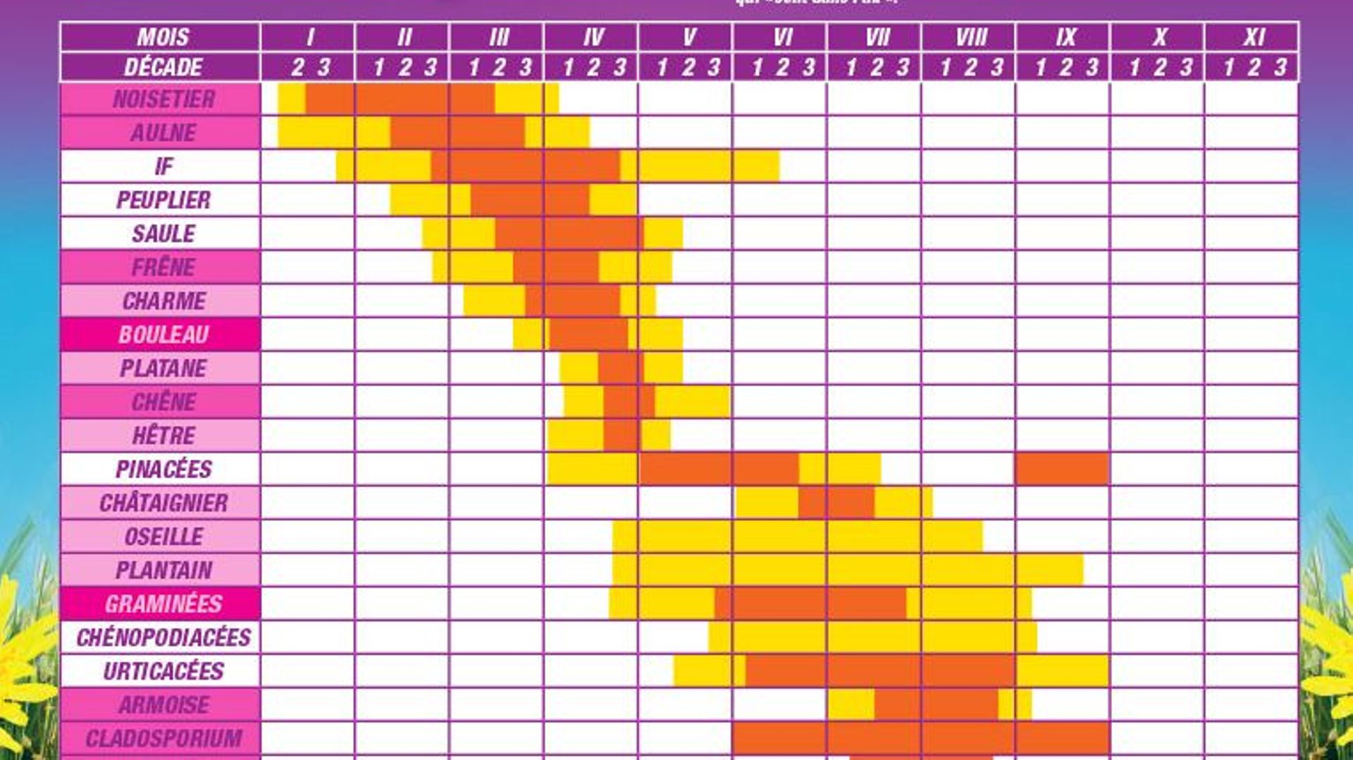 La saison du rhume des foins a démarré un peu plus tôt que prévu et ...