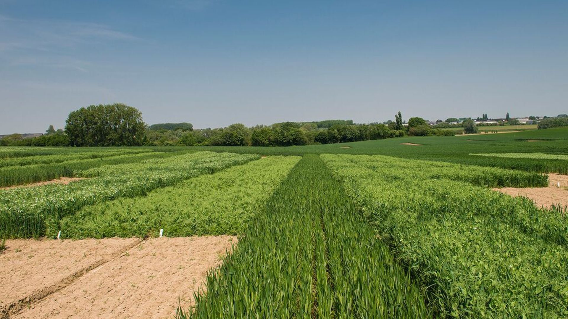 Gembloux Agro-Bio Tech – Université de Liège - rtbf.be