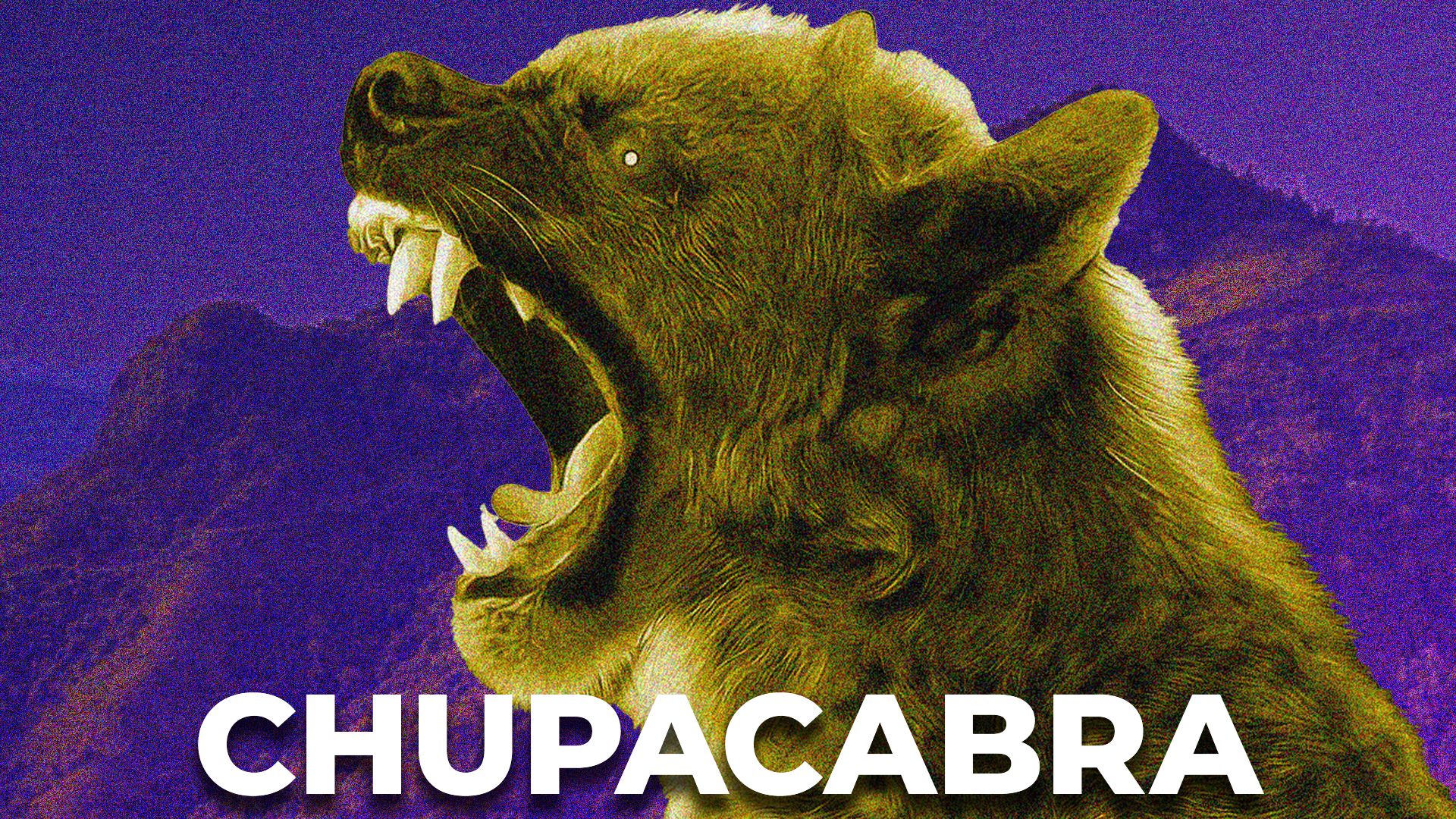 'El chupacabra' mais qui est cette créature inquiétante responsable de ...