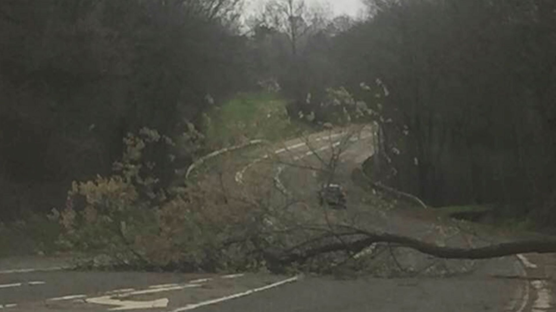 Des vents violents sur tout le pays: un mort, de nombreux dégâts et un ...