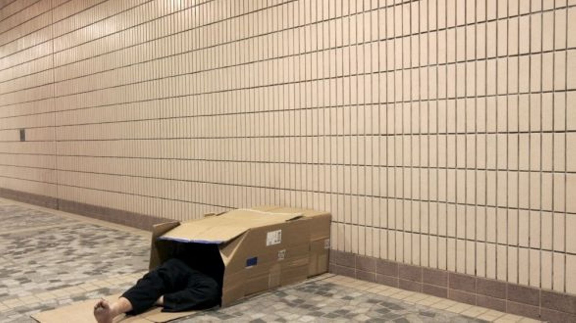 Miss SDF remportera un an de logement - rtbf.be