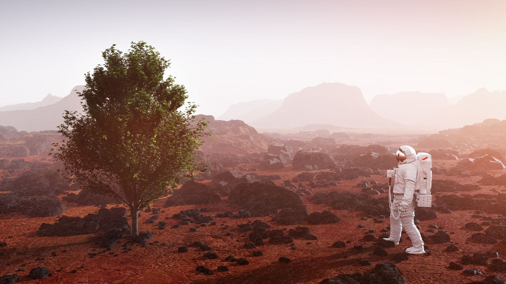 Une plante qui vit sur Terre pourrait pousser sur Mars et y amener la ...