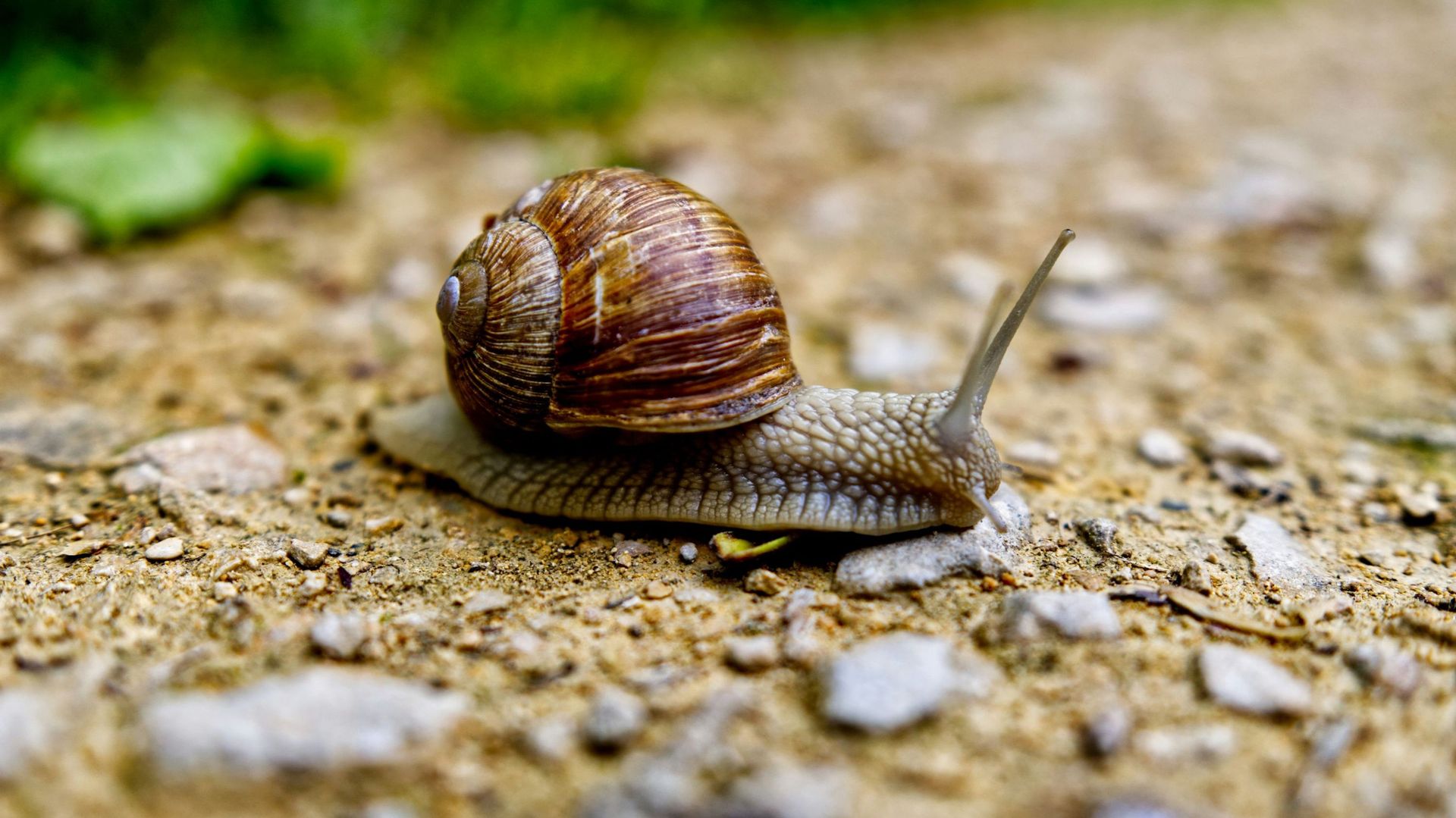 Bokep cidey this is an issue that has to be dealt with so