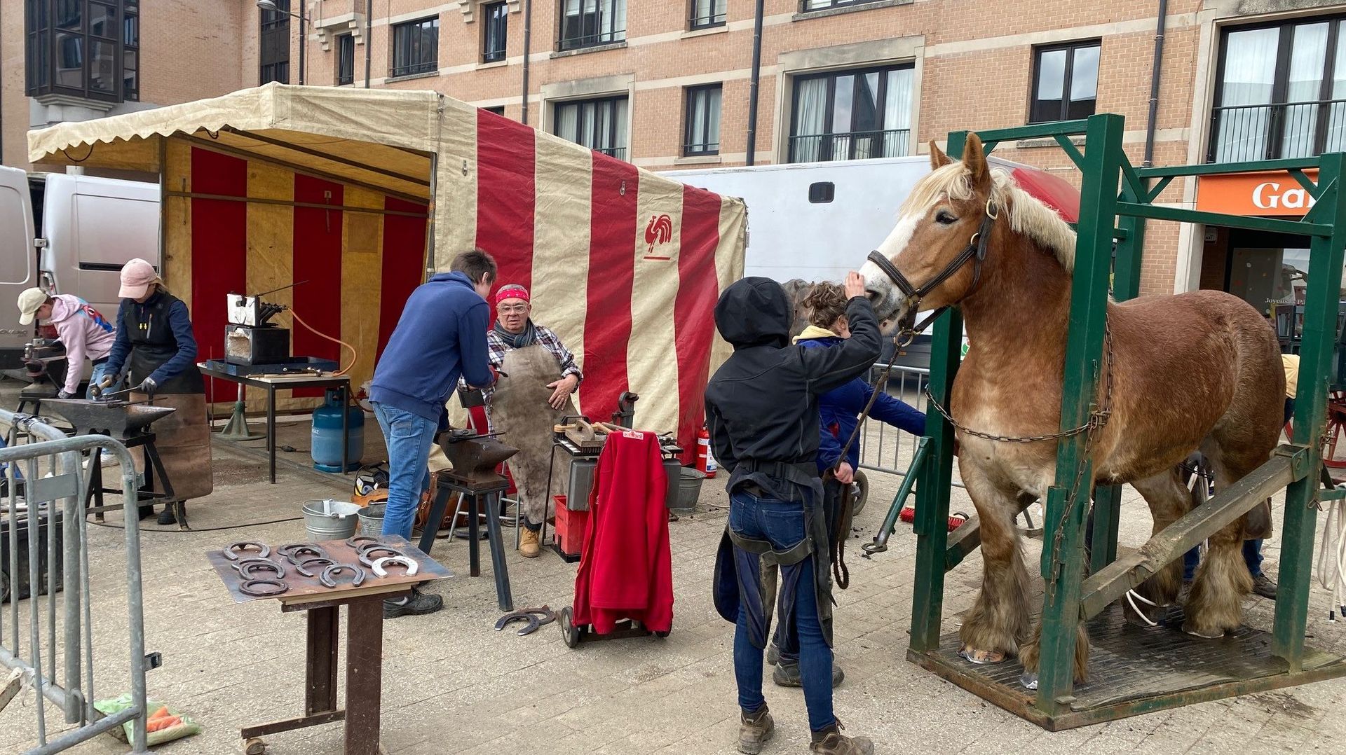 11 ans plus tard : que sont devenus ces agriculteurs de Merbes-le ...
