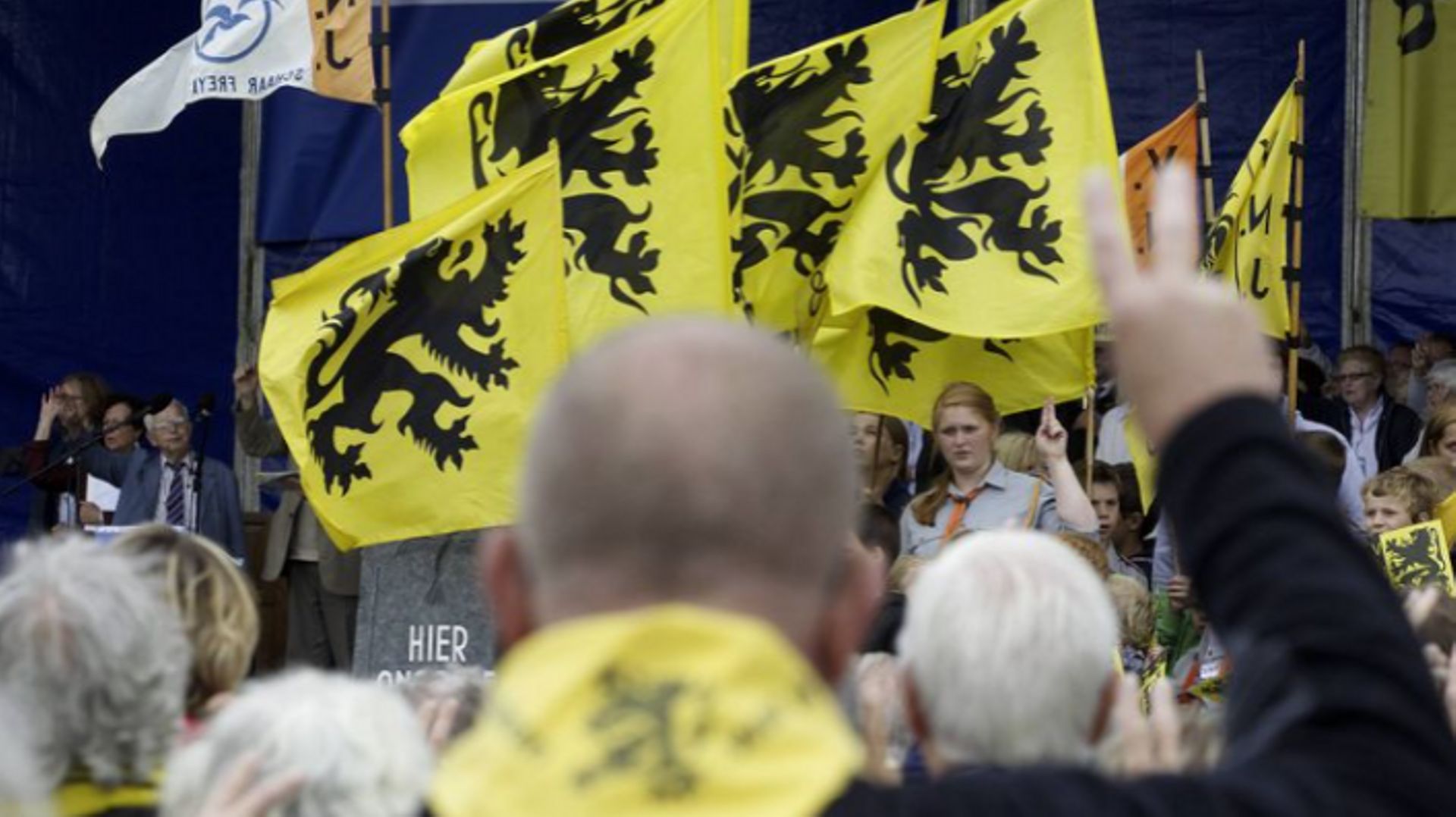The Vigil of the Yser: Flemish Ultra-Nationalists' Annual Event to ...