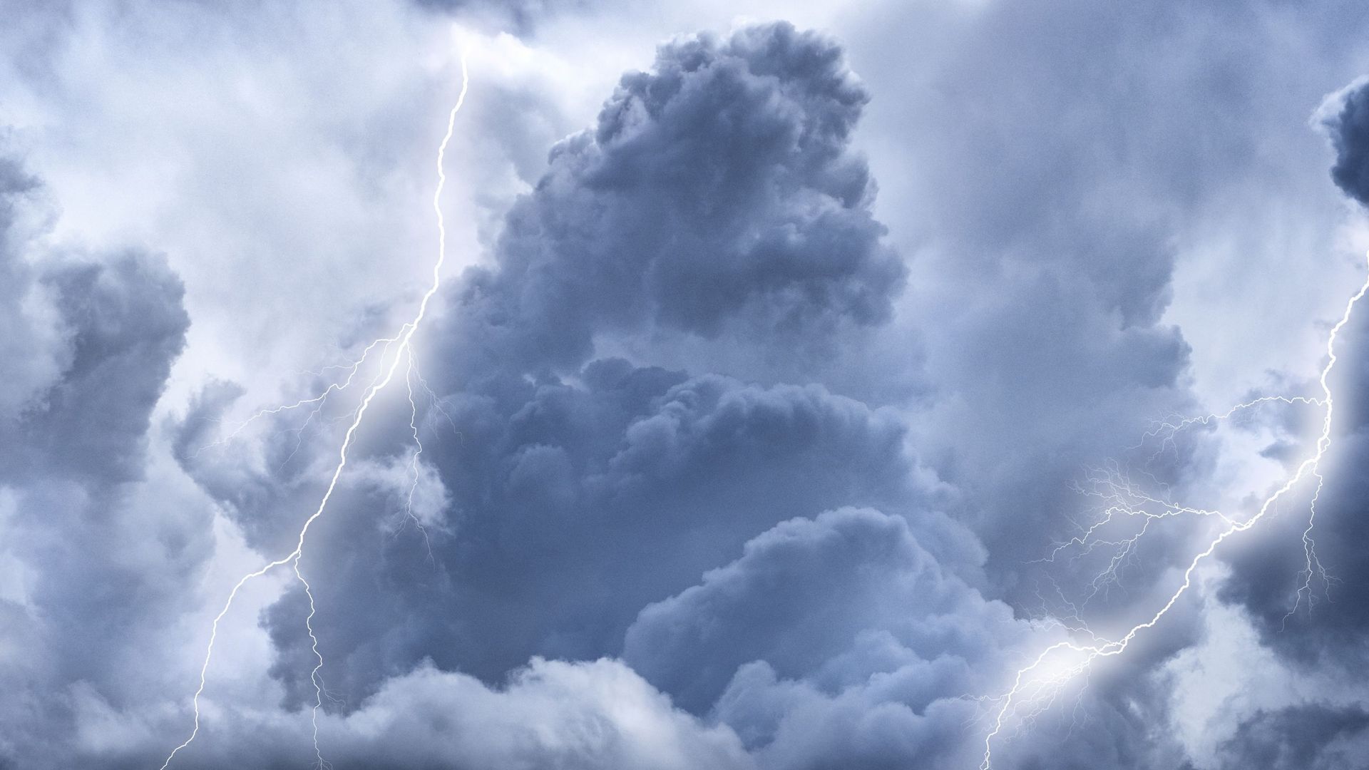 Le chicon, un légume d’hiver aux nombreux bienfaits pour la santé ...